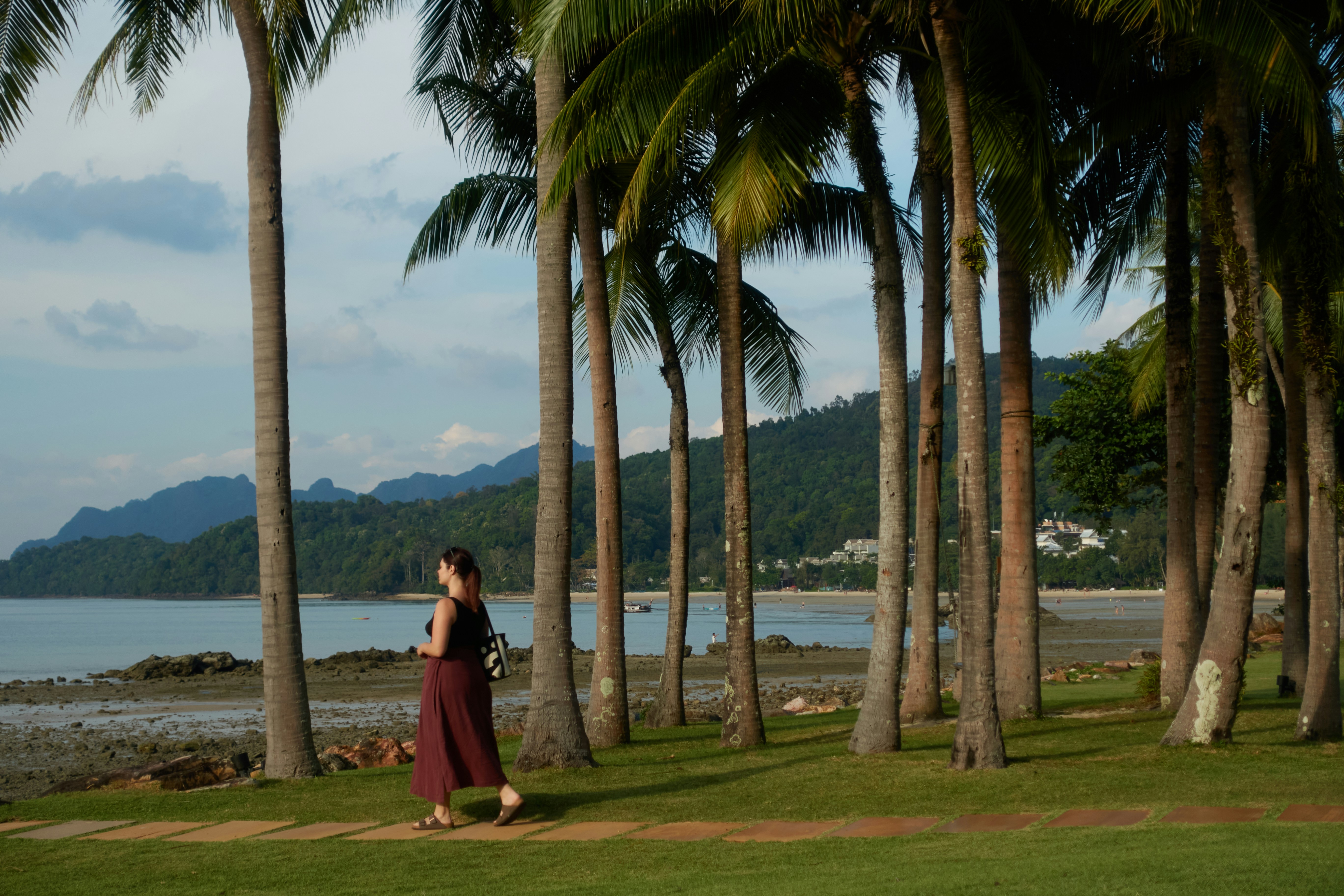 Coastal Palm Path: A lone traveler under tropical palms