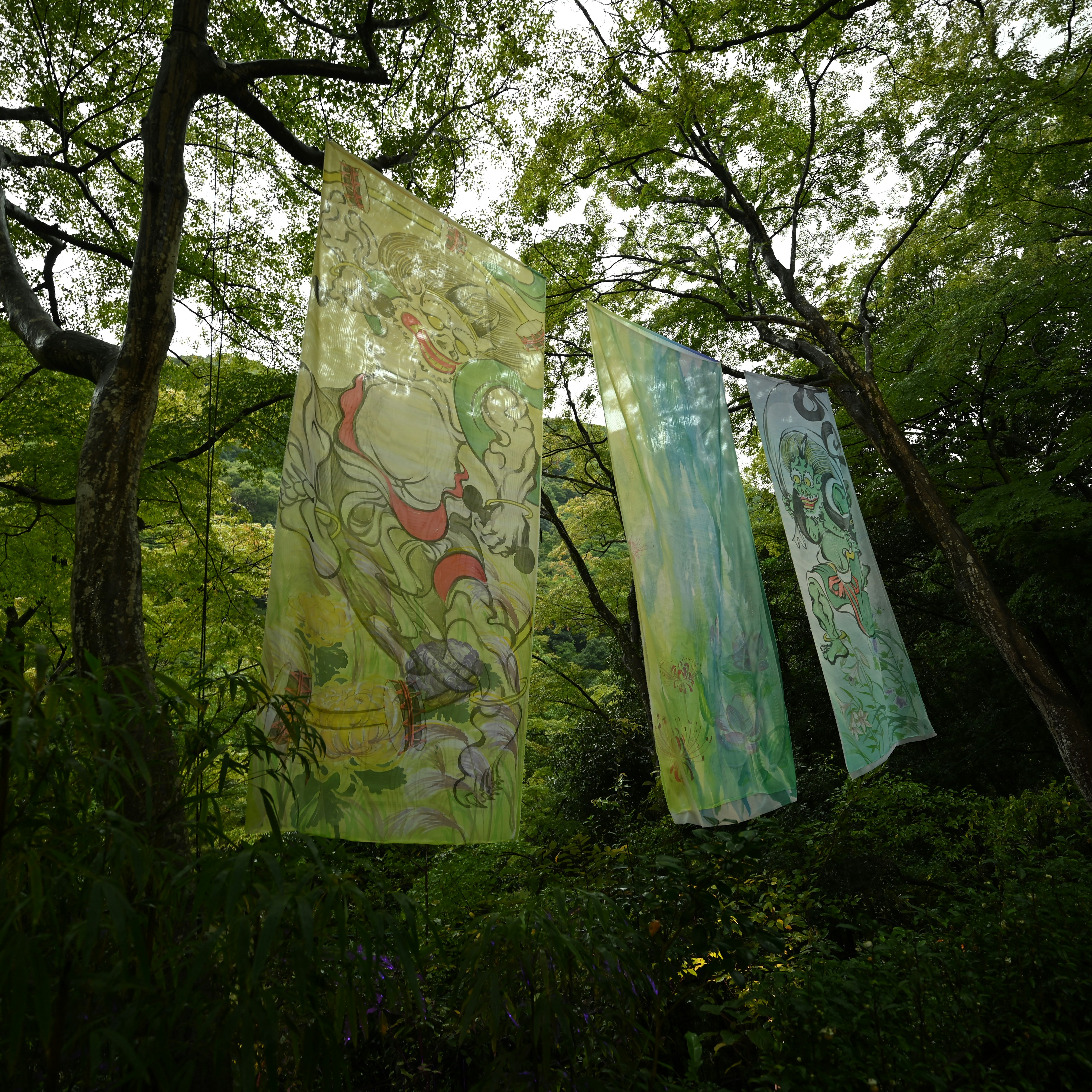 Threads of Color in a Quiet Forest