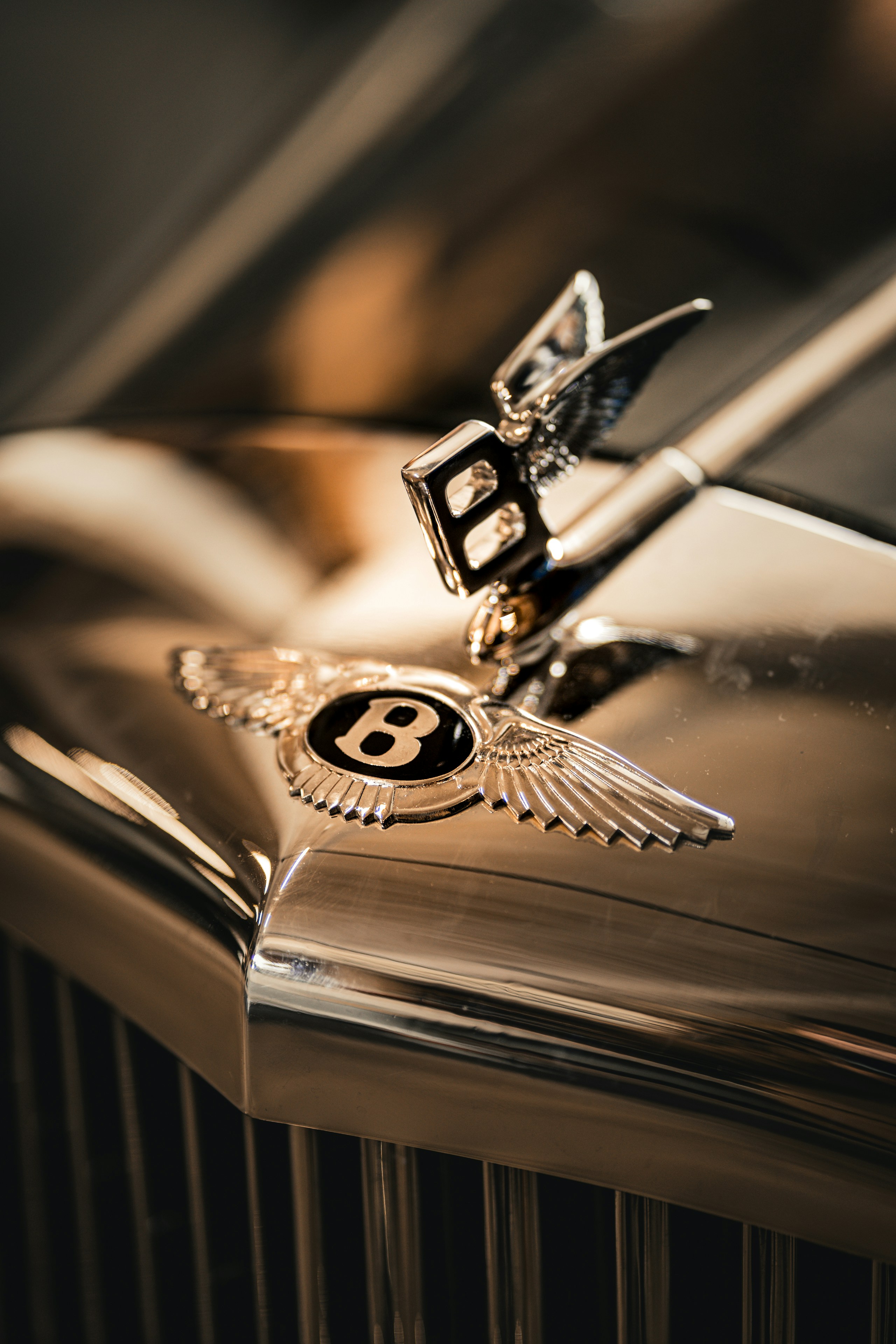 Photo by Dawid Tkocz with Sony Alpha 7C II