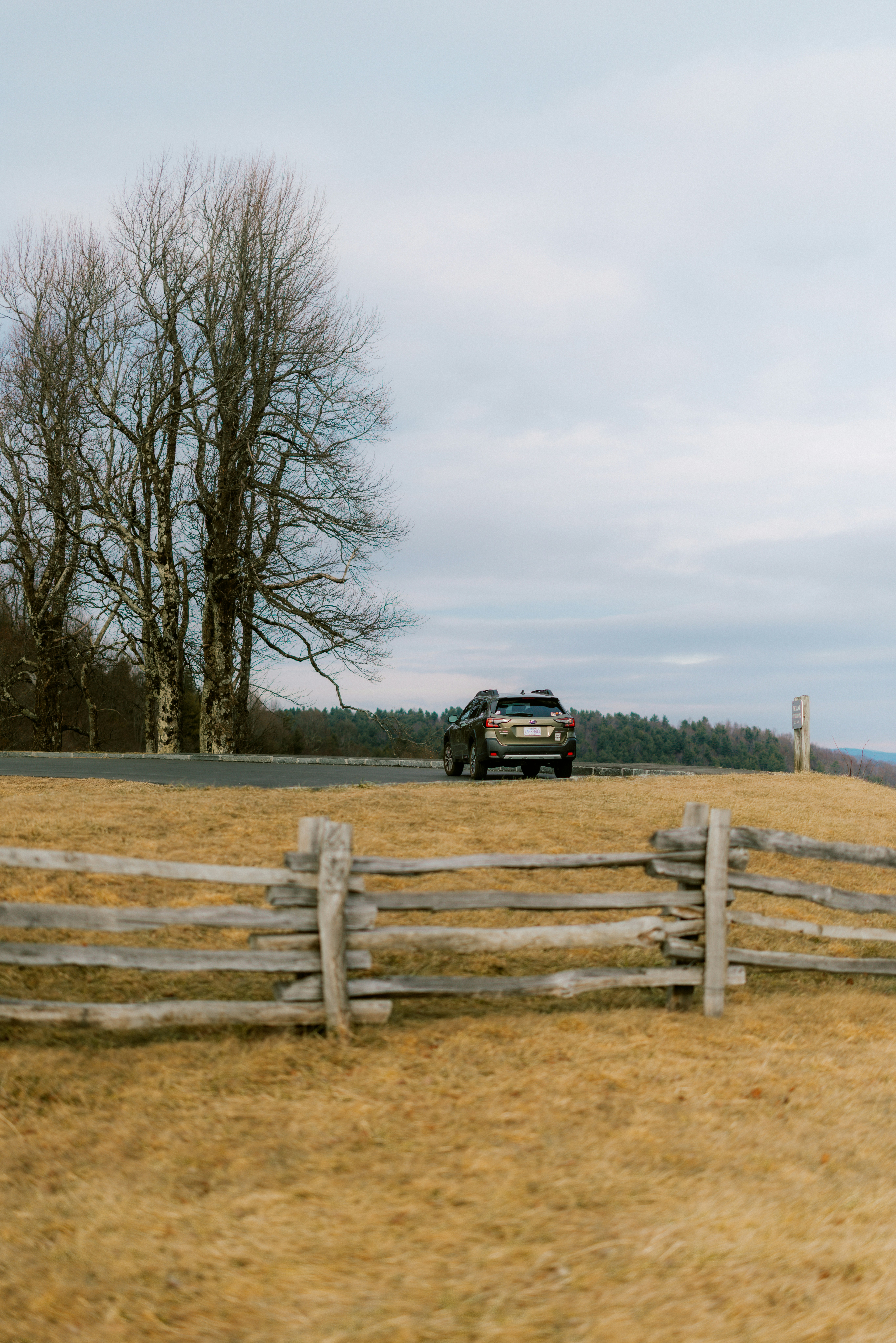 Roadside Quiet: A Car at the Edge of a Field
