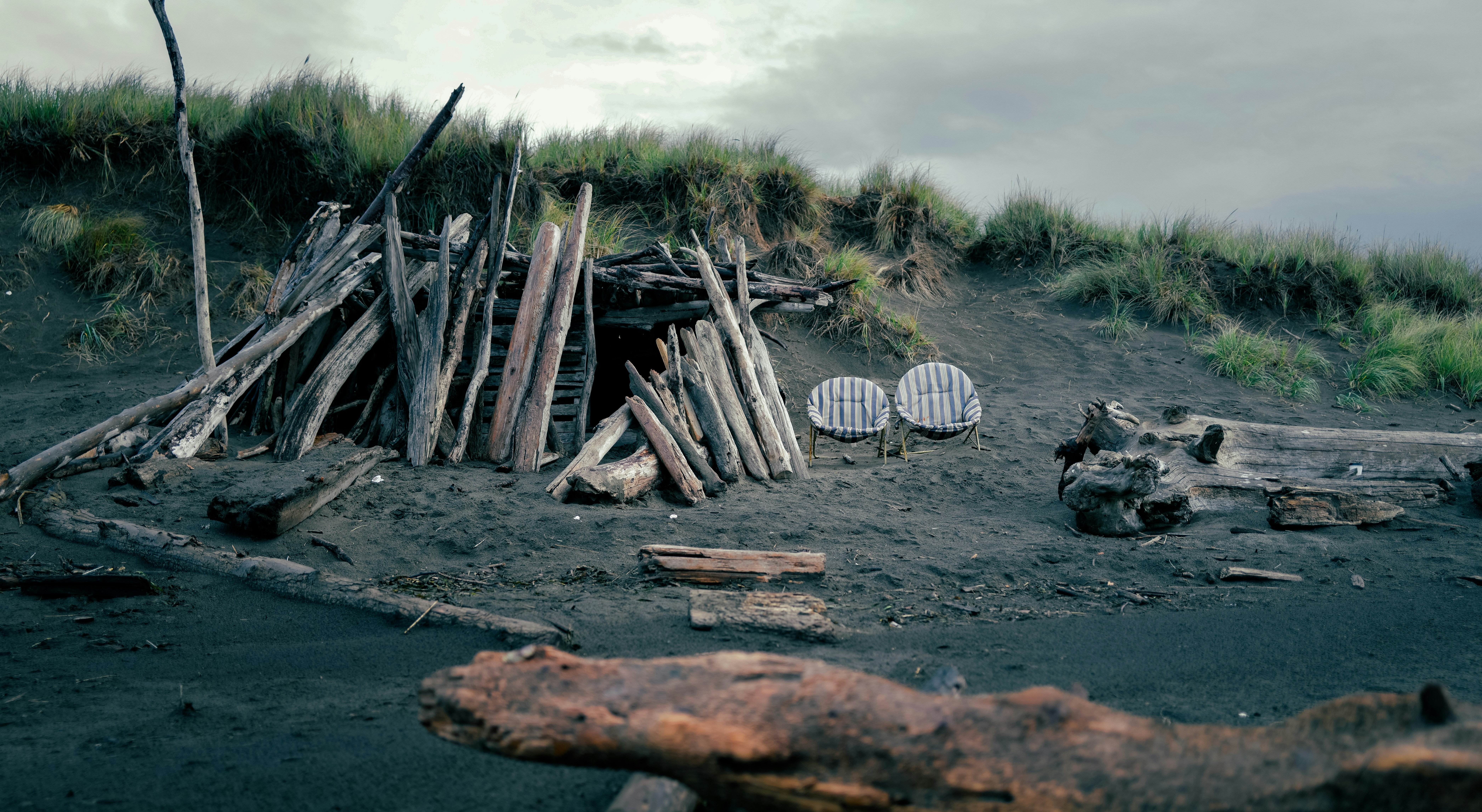 Driftwood Shelter by a Windswept Shore
