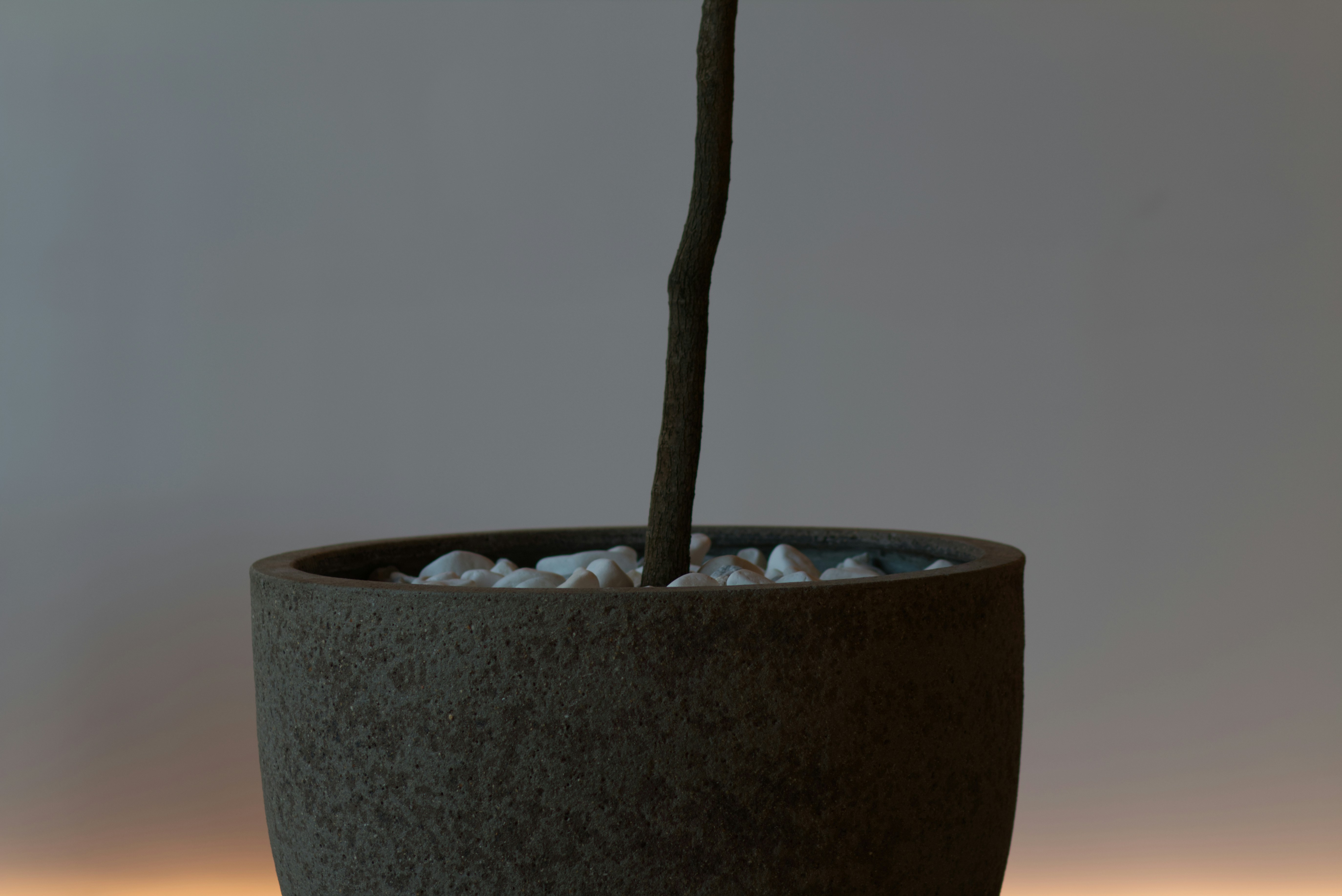 Photo by George Pagan III with Canon EOS 70D