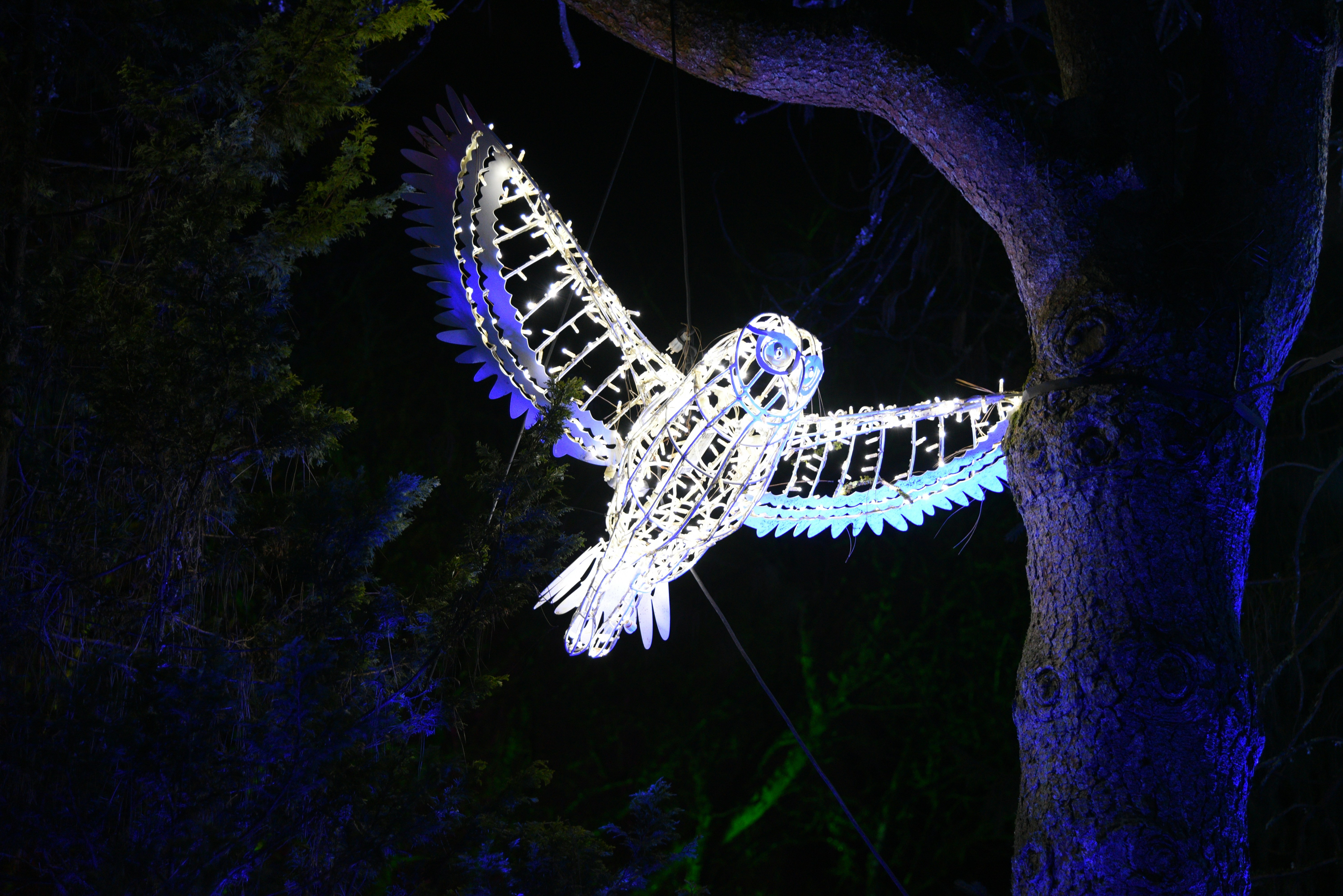 Luminous Winged Lantern Soaring Above the Night Forest