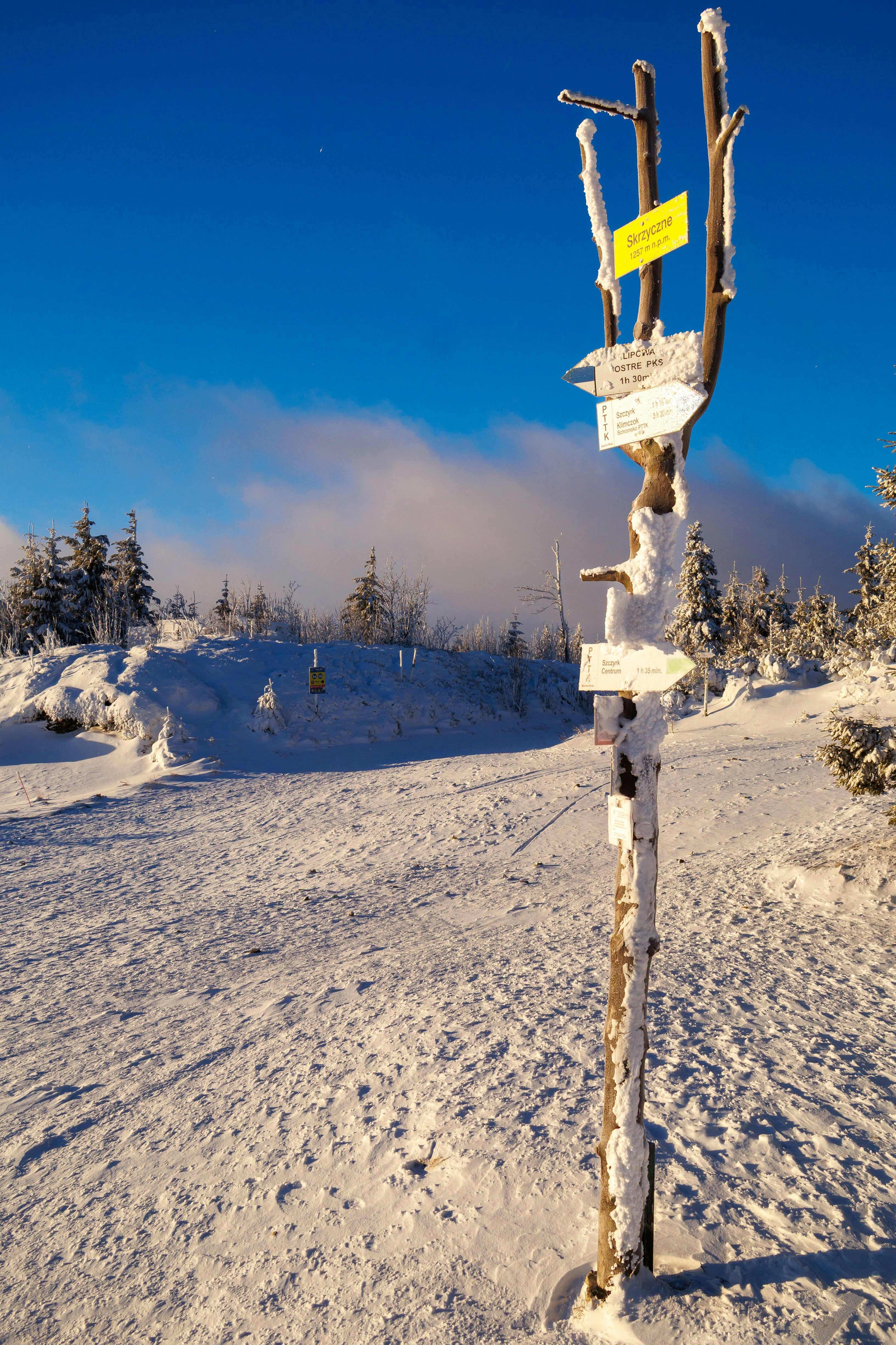 Snow-Specked Signpost Against a Blue Winter Sky