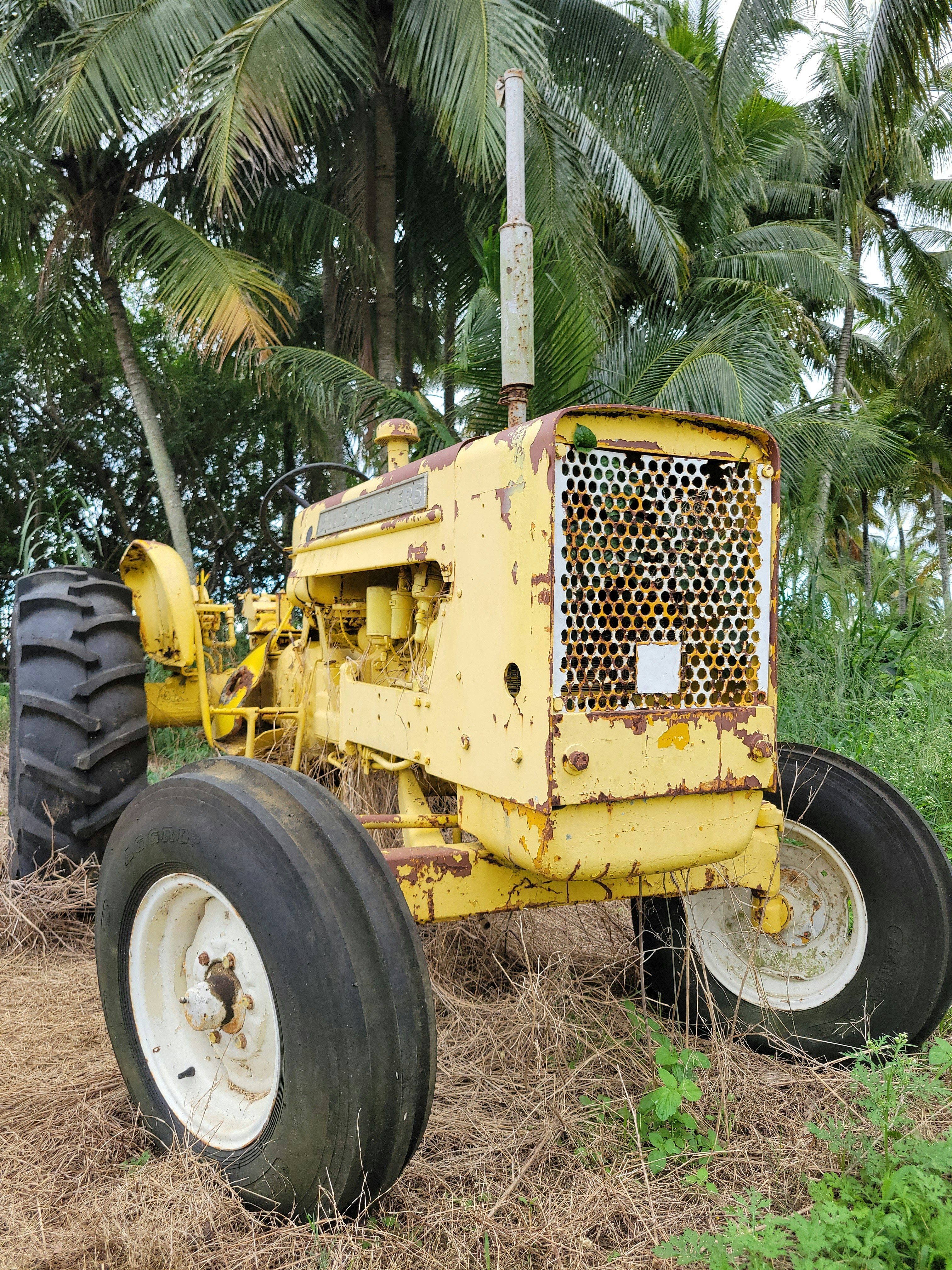 Sun-bleached Yellow Tractor in Overgrown Field