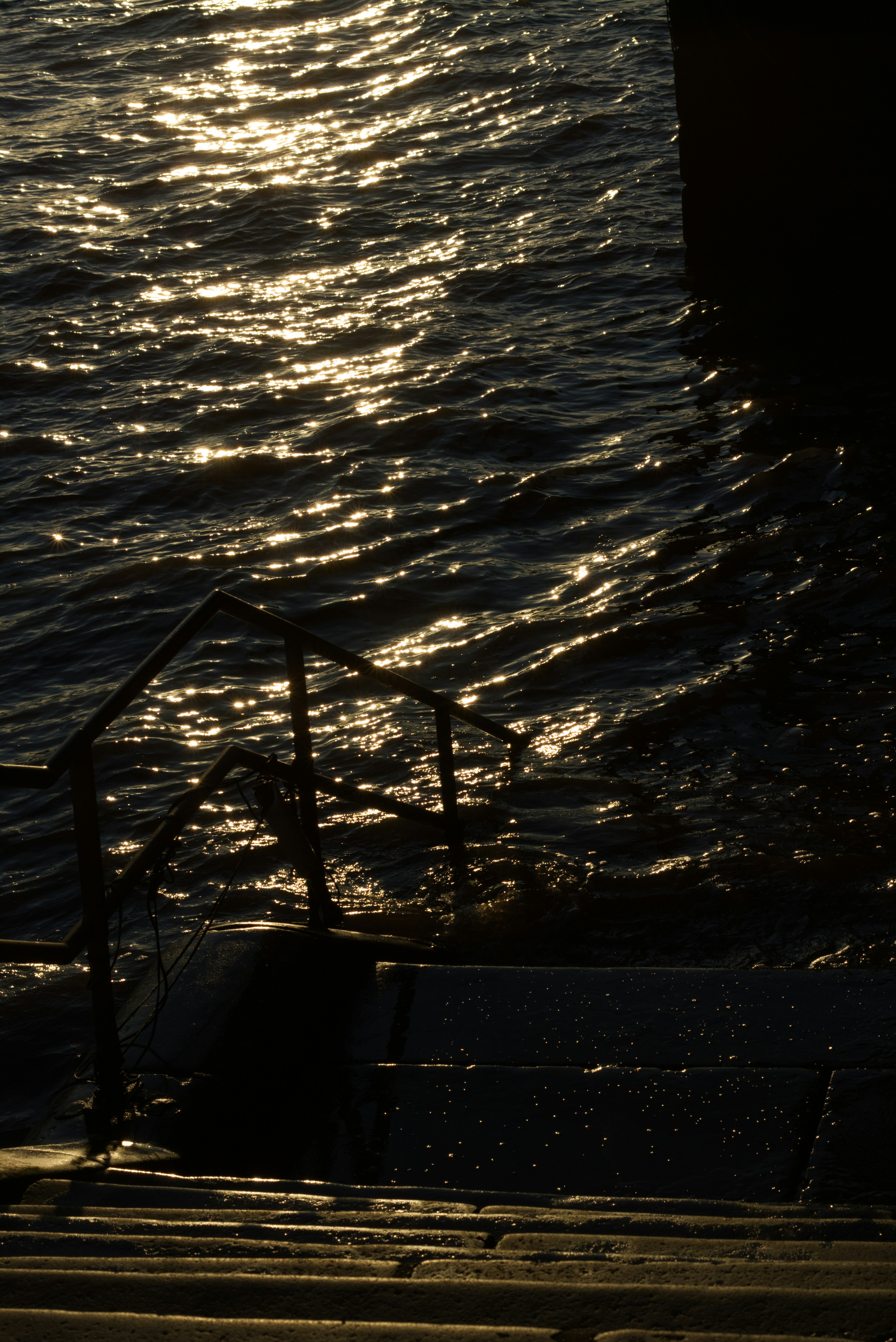 Photo by George Pagan III with Canon EOS 70D