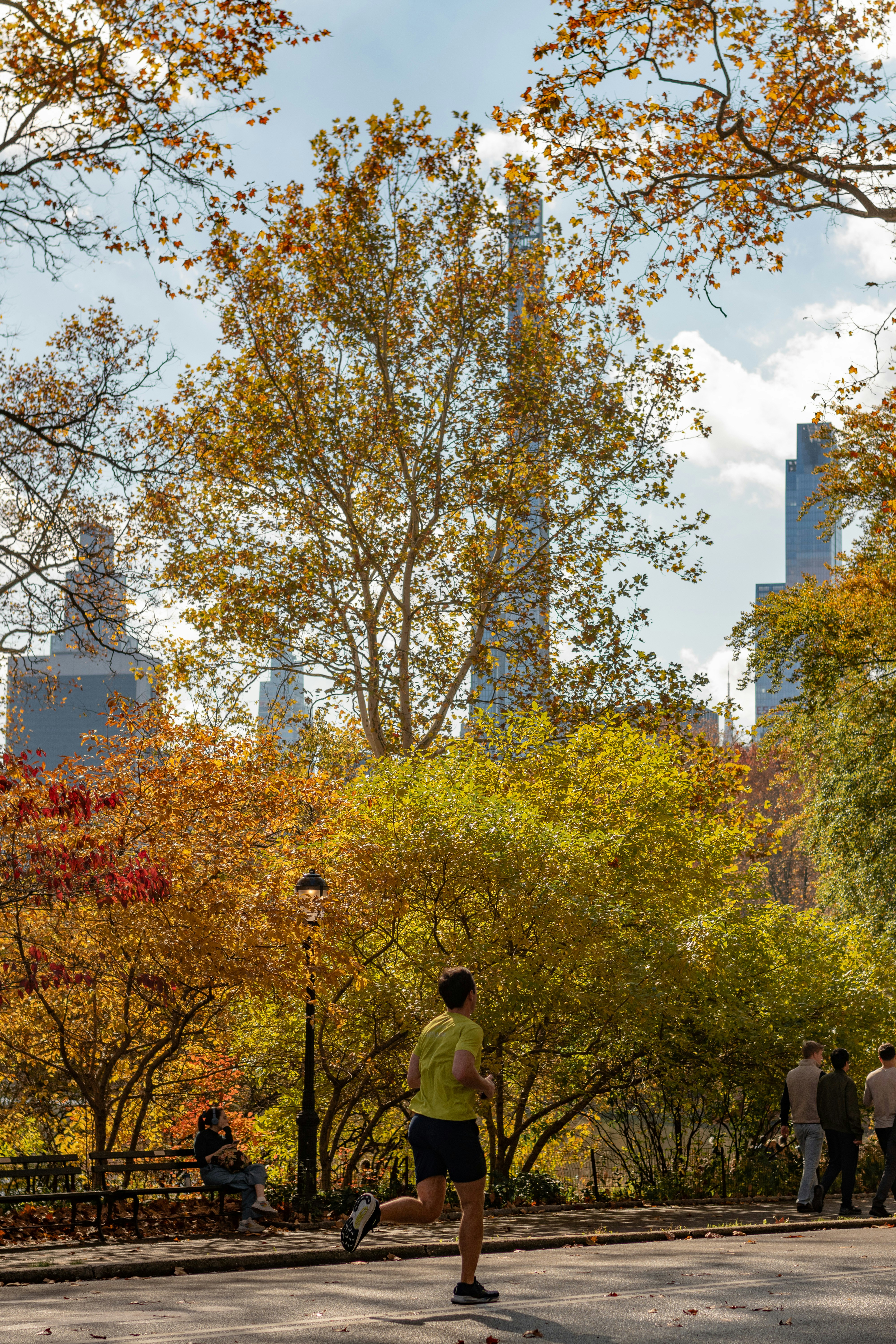 Jogger in Golden Park as City Skyscrapers Rise Beyond Autumn Canopy