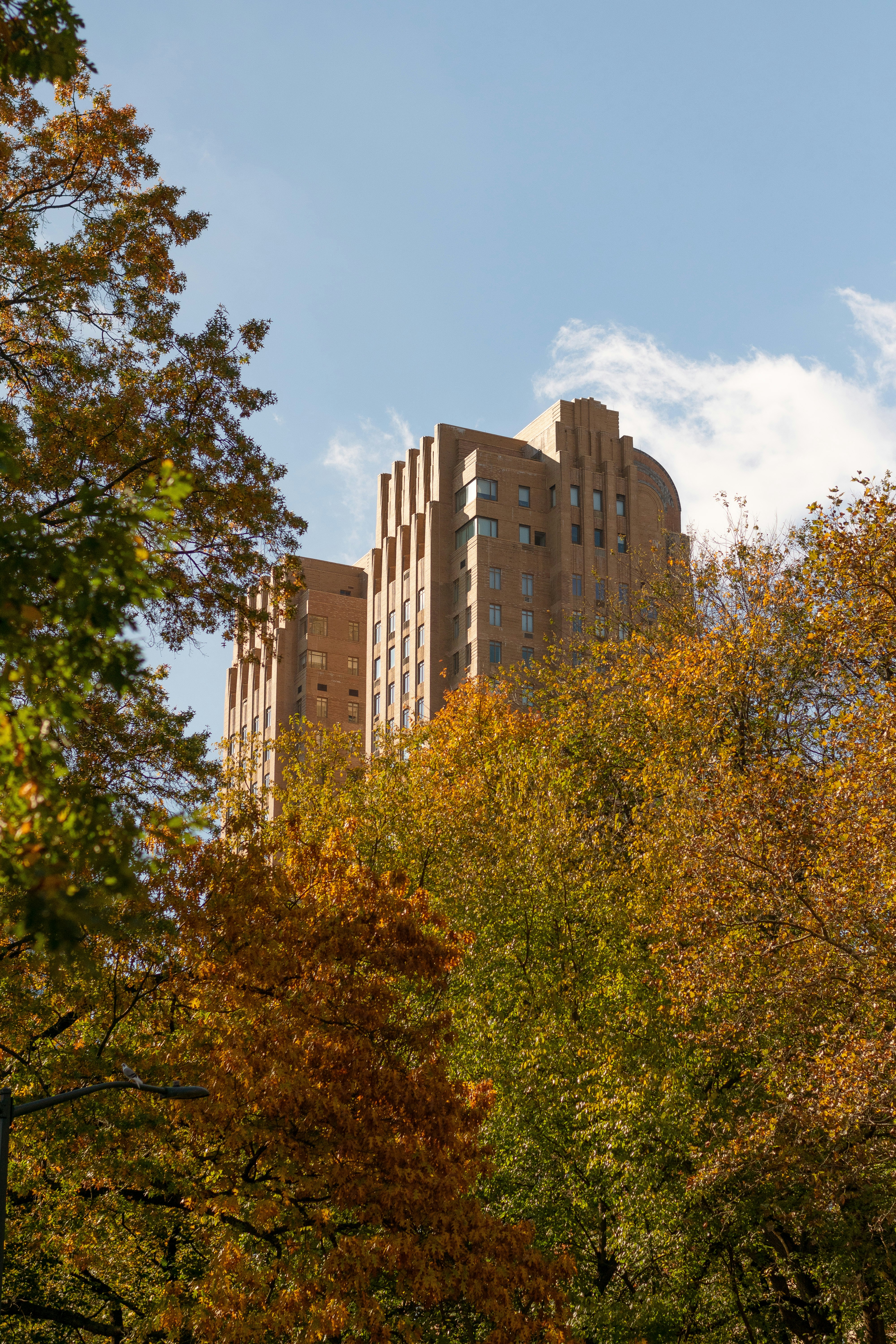 Autumn Skyline: Brick Tower Rising Above Colorful Canopy