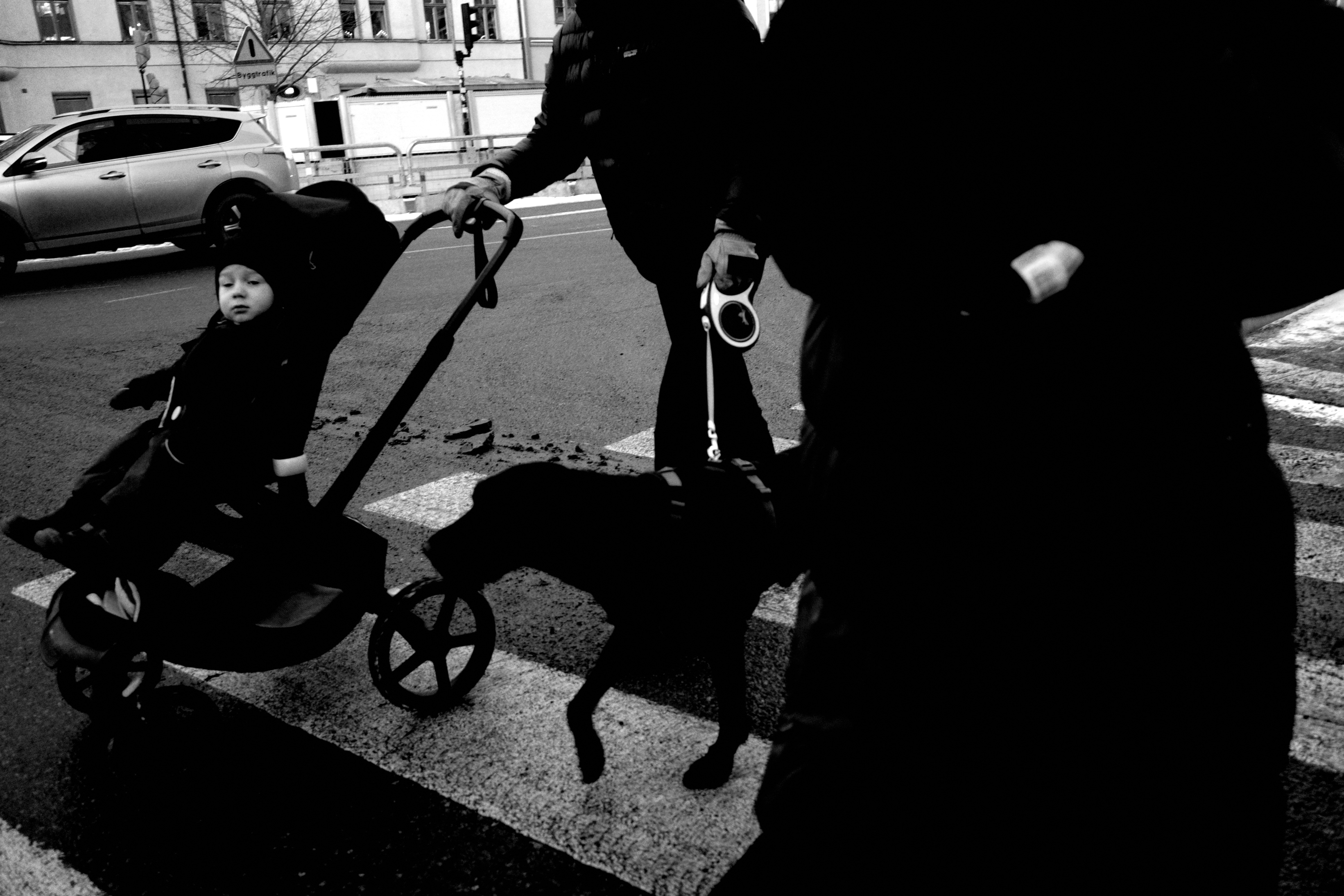Striding silhouette: a child in a stroller beside a sprinting dog on a busy street