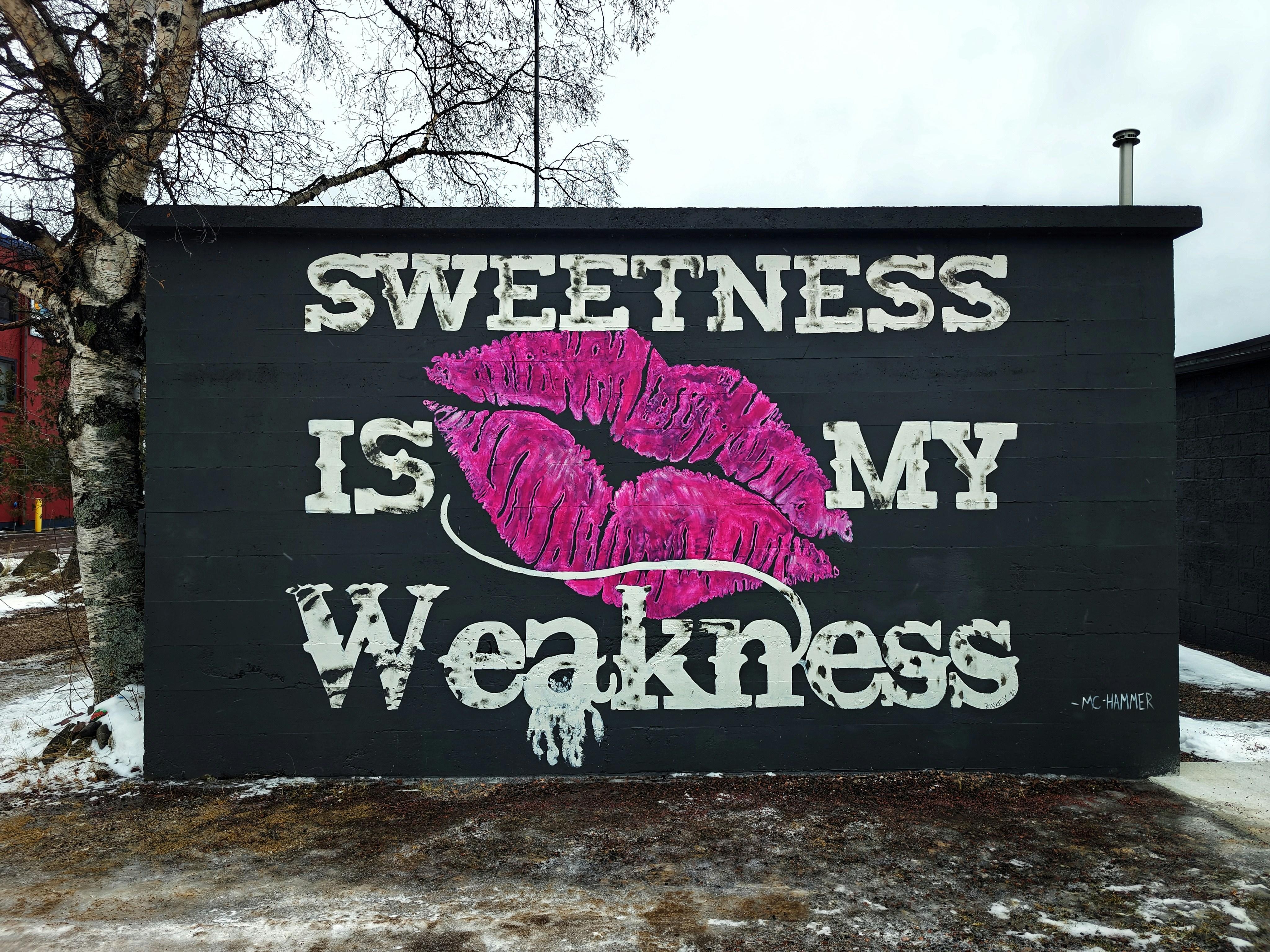 Pop of color on an overcast day in the north shore.