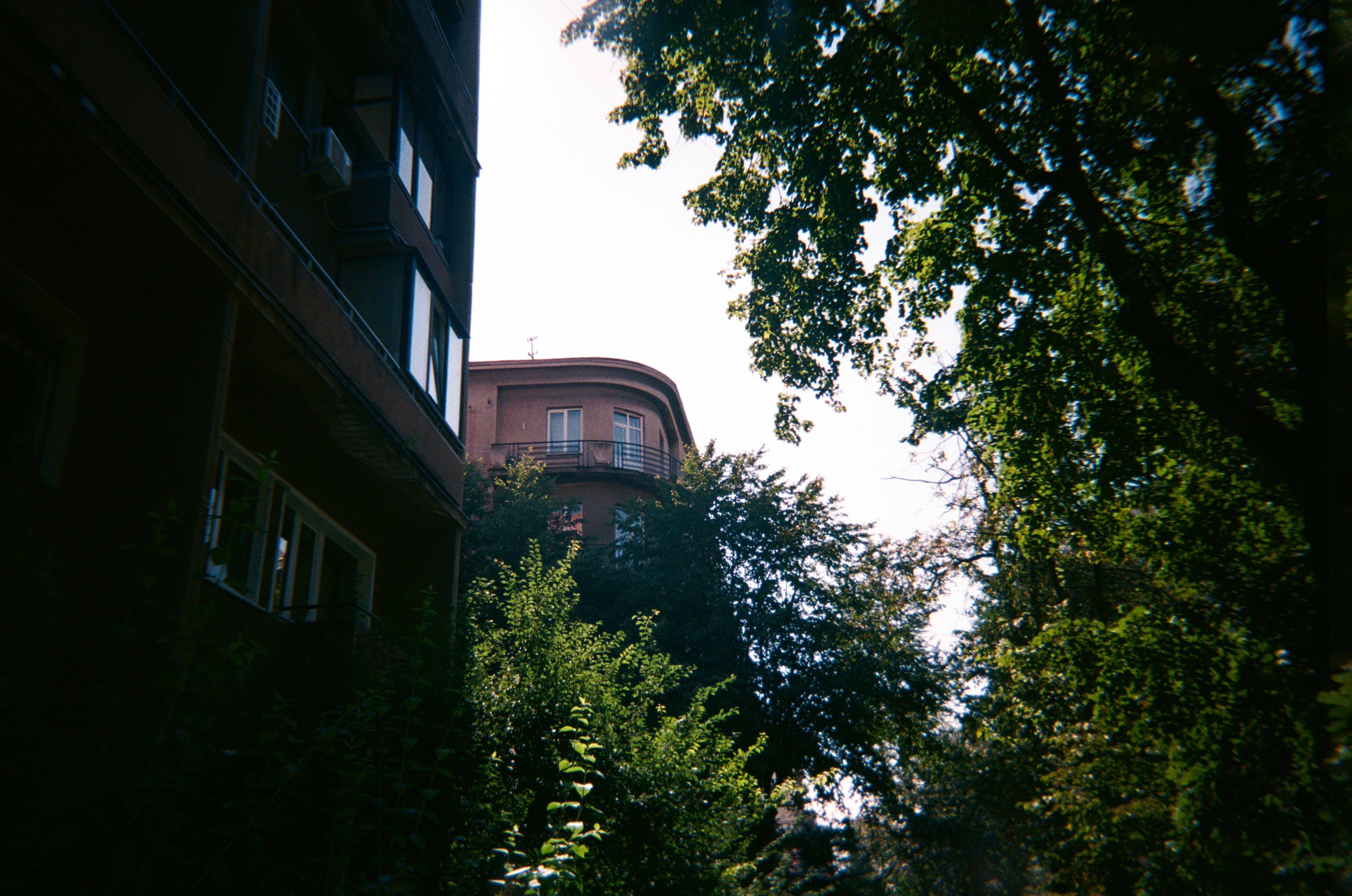 Building seen through green trees under bright sky photo – Free ...