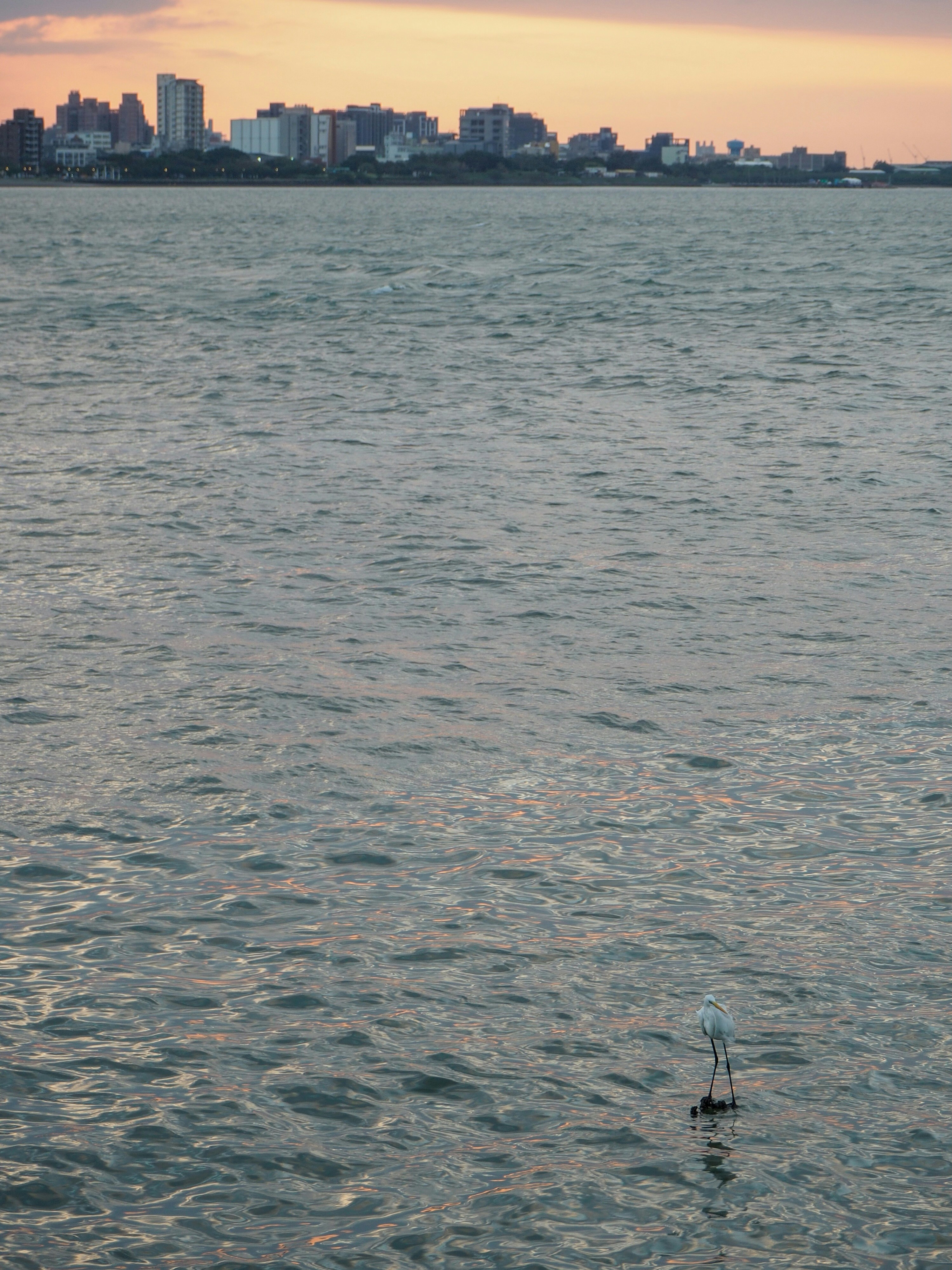 Coastal Dusk with a solitary heron