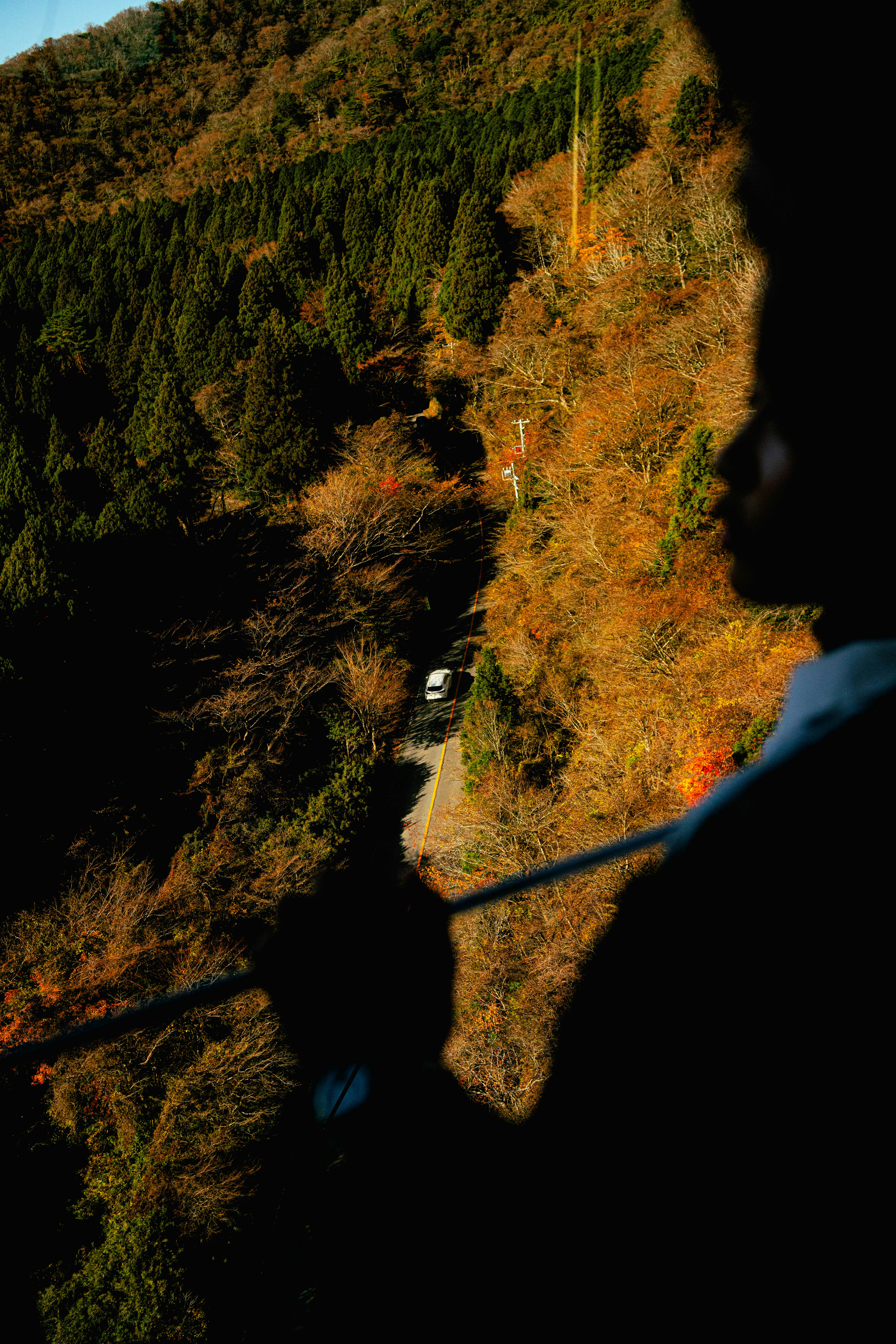 Overlook Ascent: Autumn Shadows from a Cable Car Window