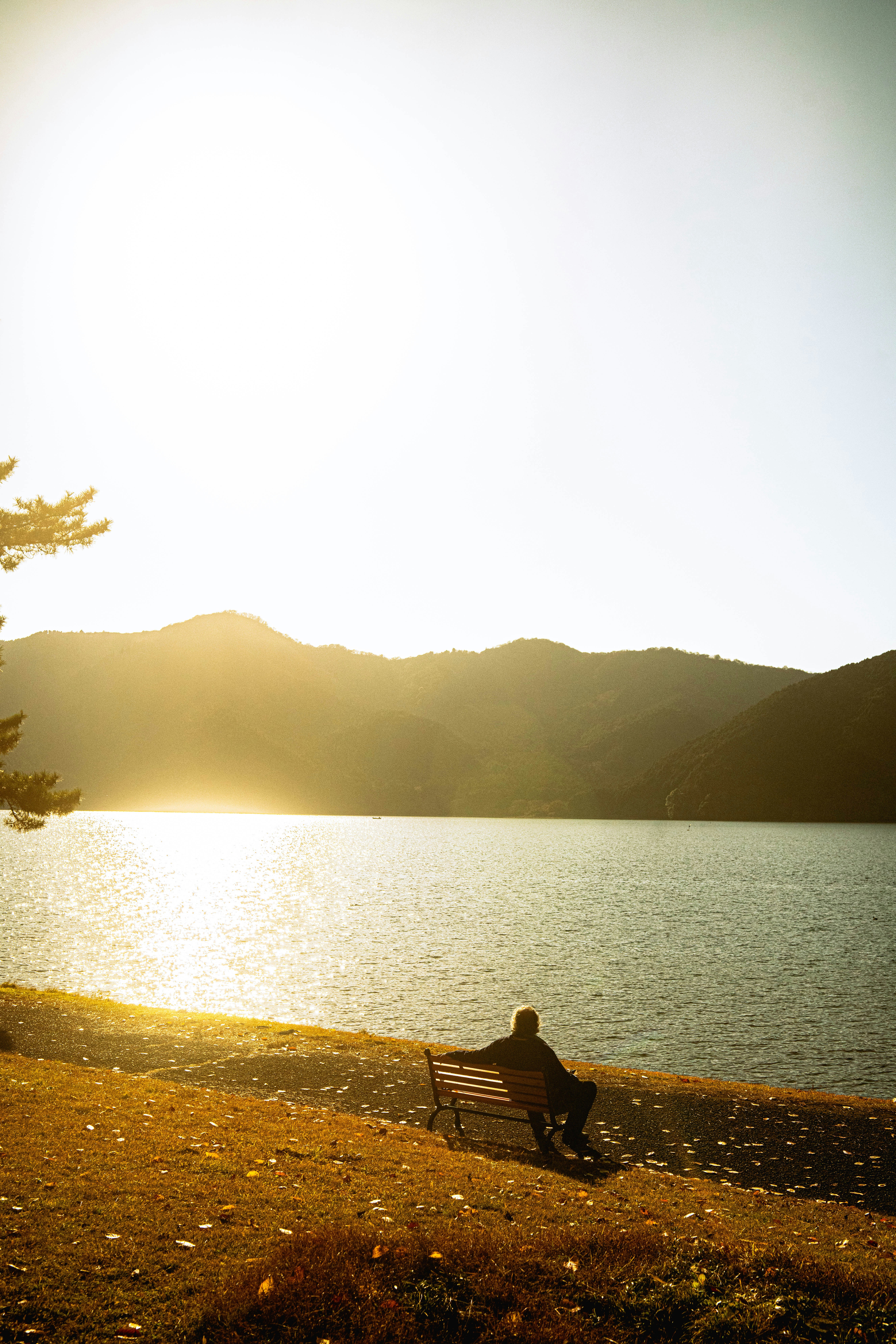 Solitary Moment by the Lake at Golden Hour