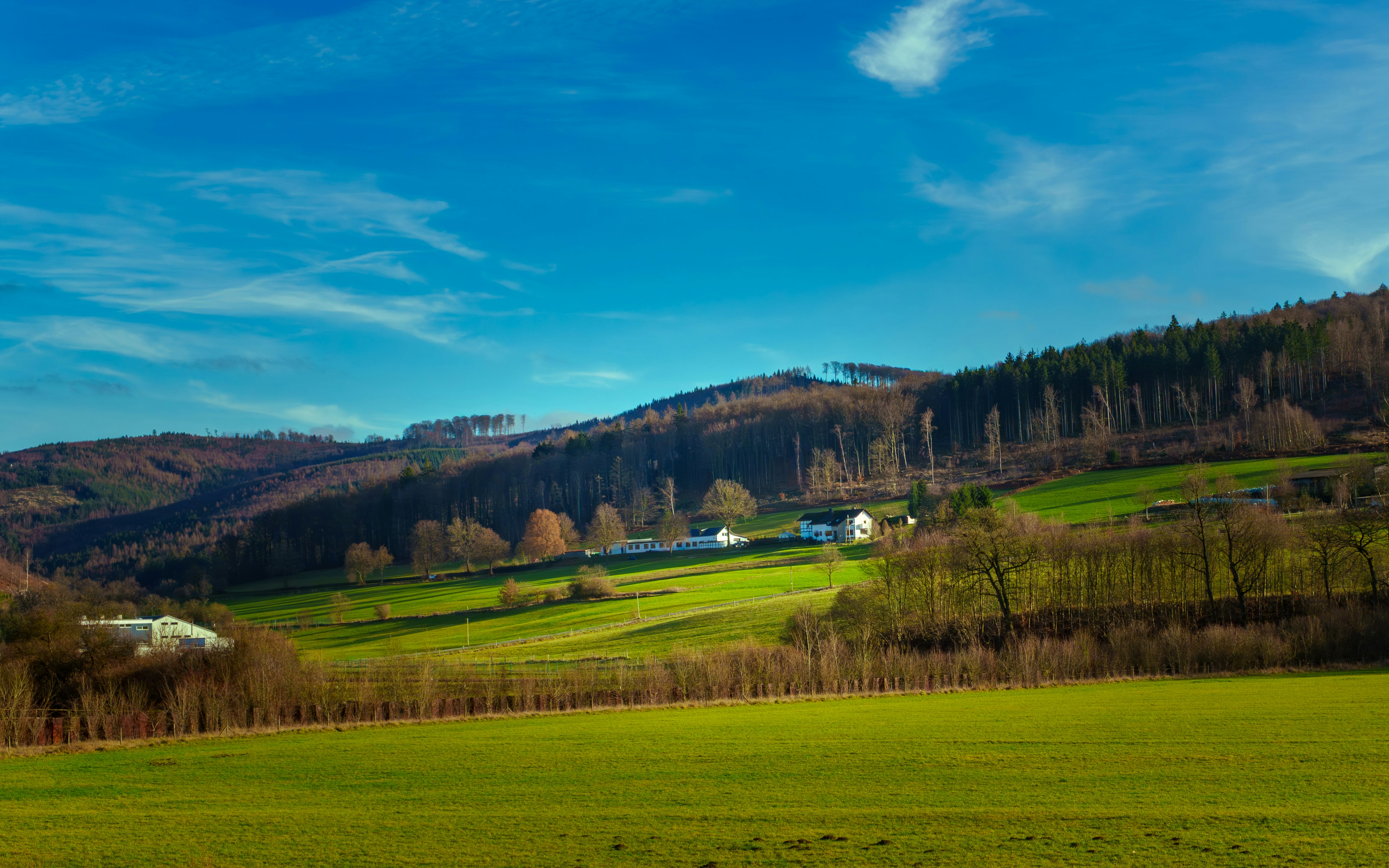 Pastoral Slopes Under a Clear Blue Sky