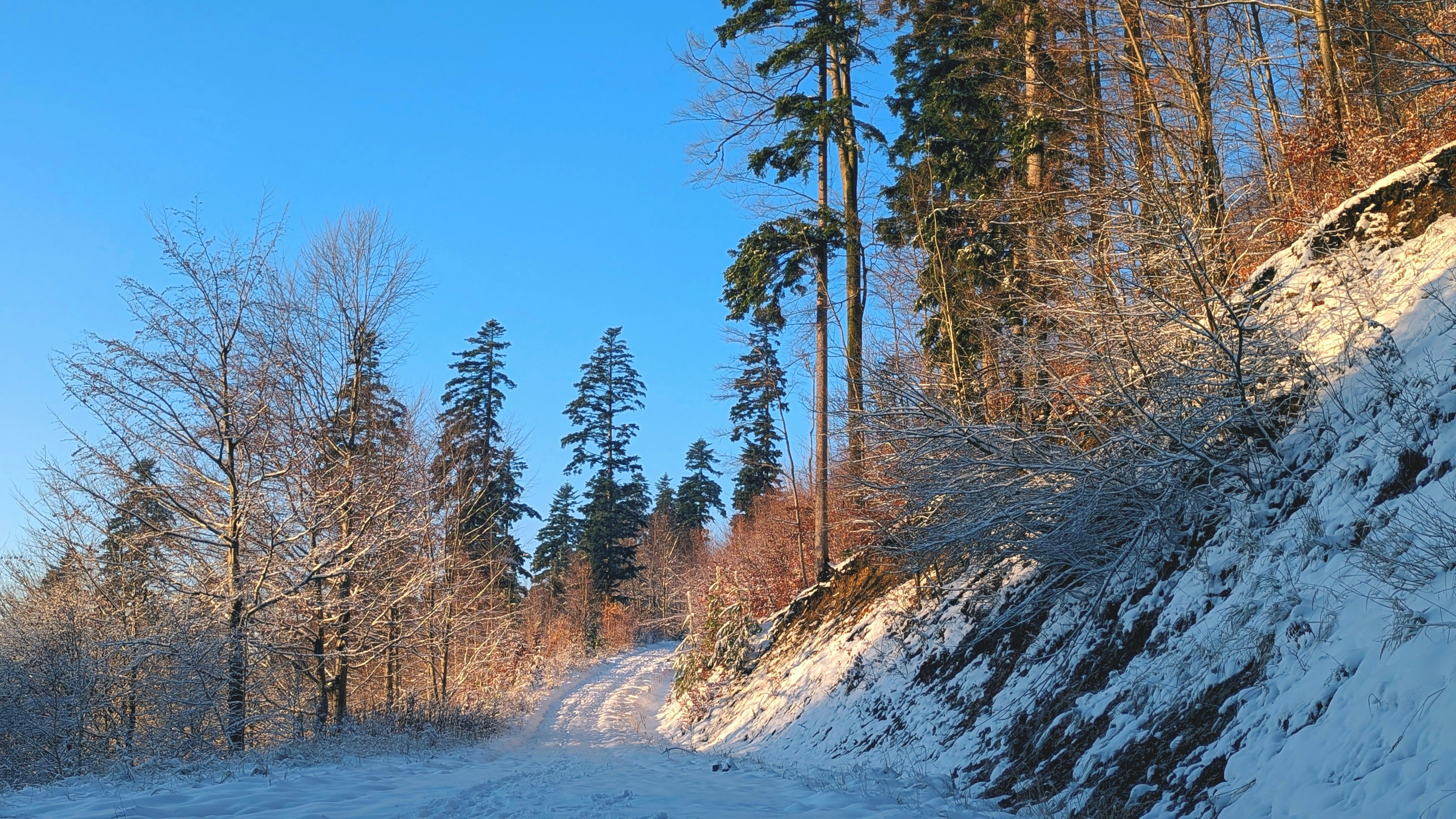 Snowbound Serpentine Trail Under a Bright Alpine Sky
