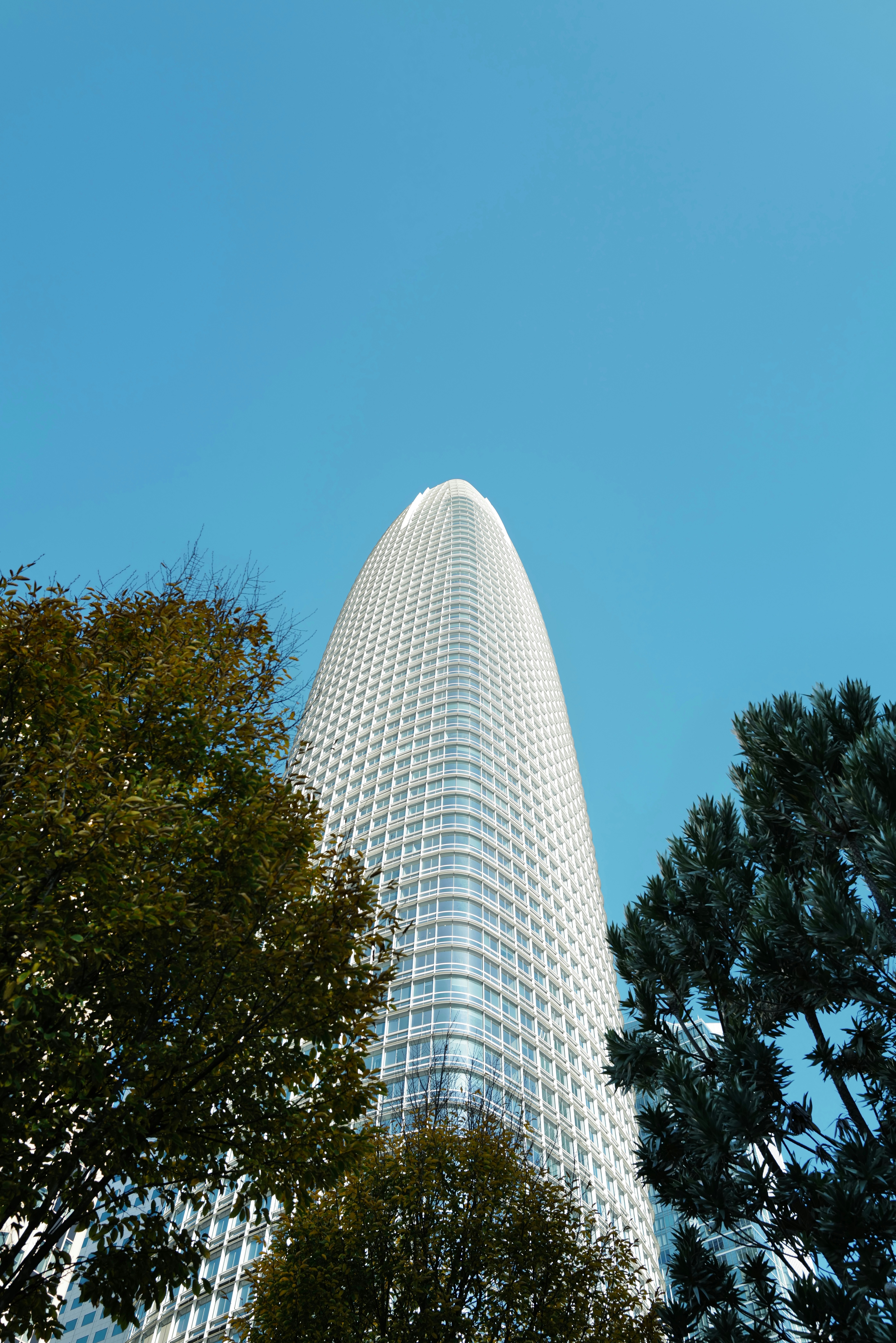 A Skyward Encounter: The Glass Tower Reaches for Blue