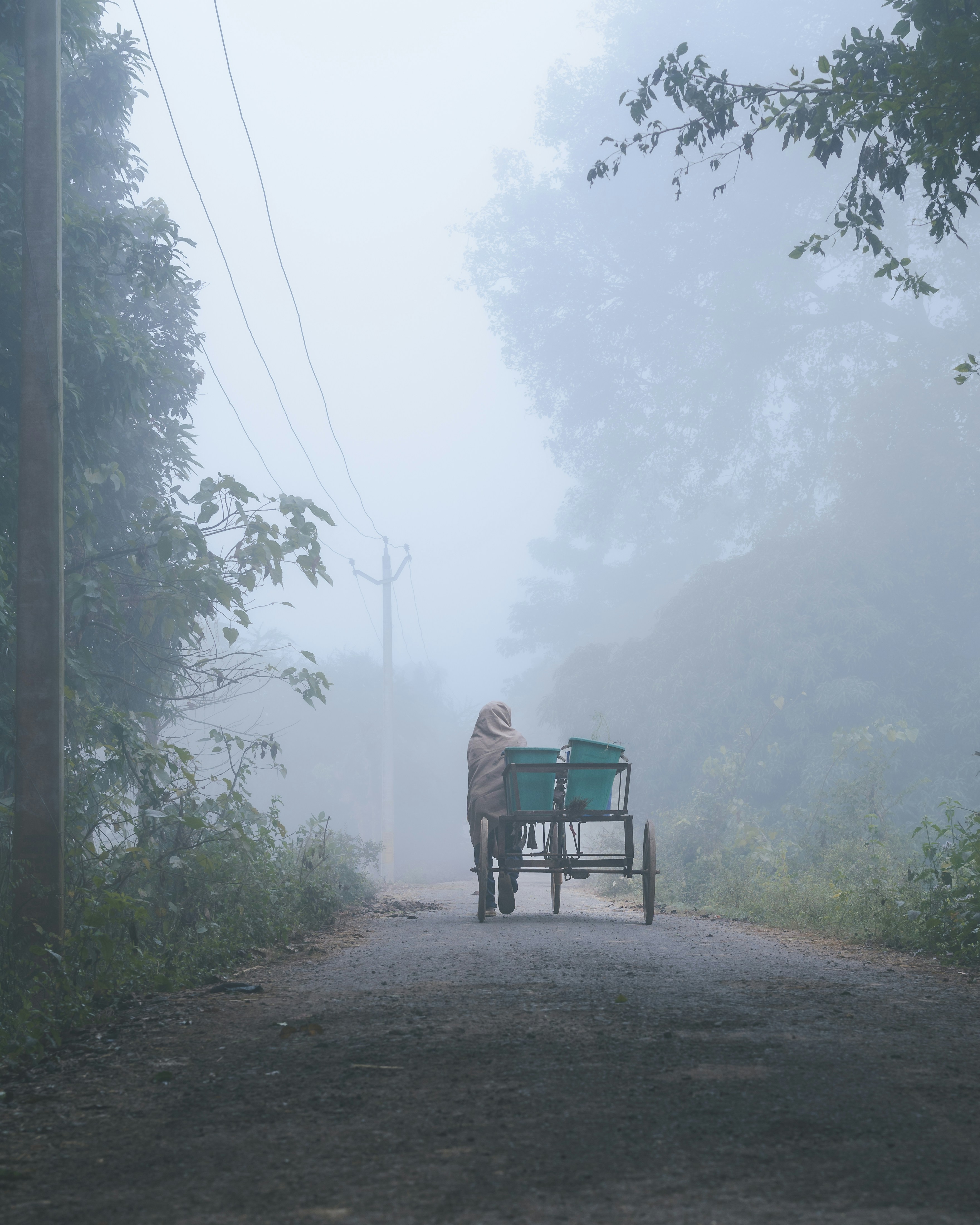 Mist-Wrapped Path: A Wheelbarrow Walk into the Fog