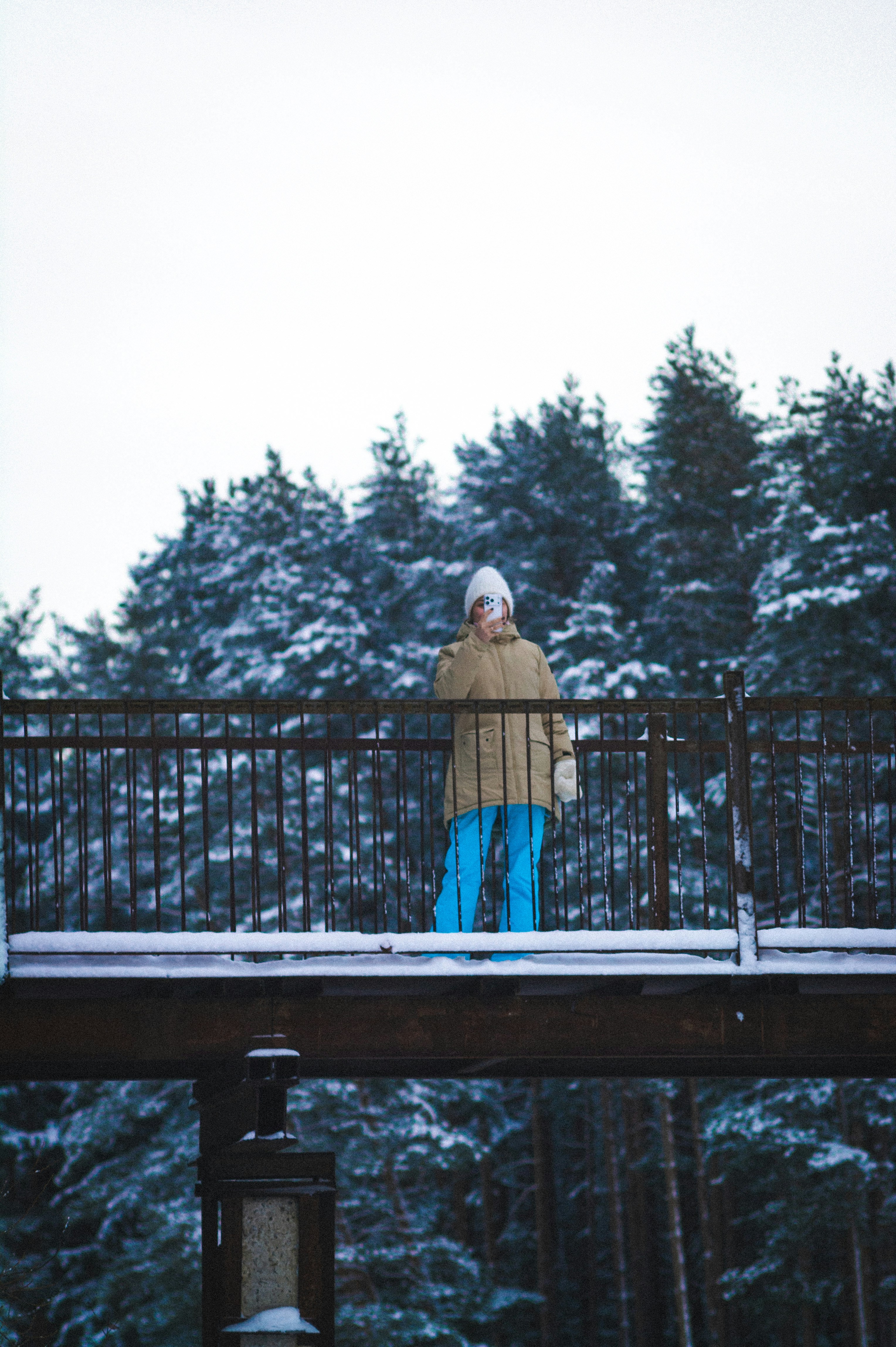 Person on a bridge in a snowy forest