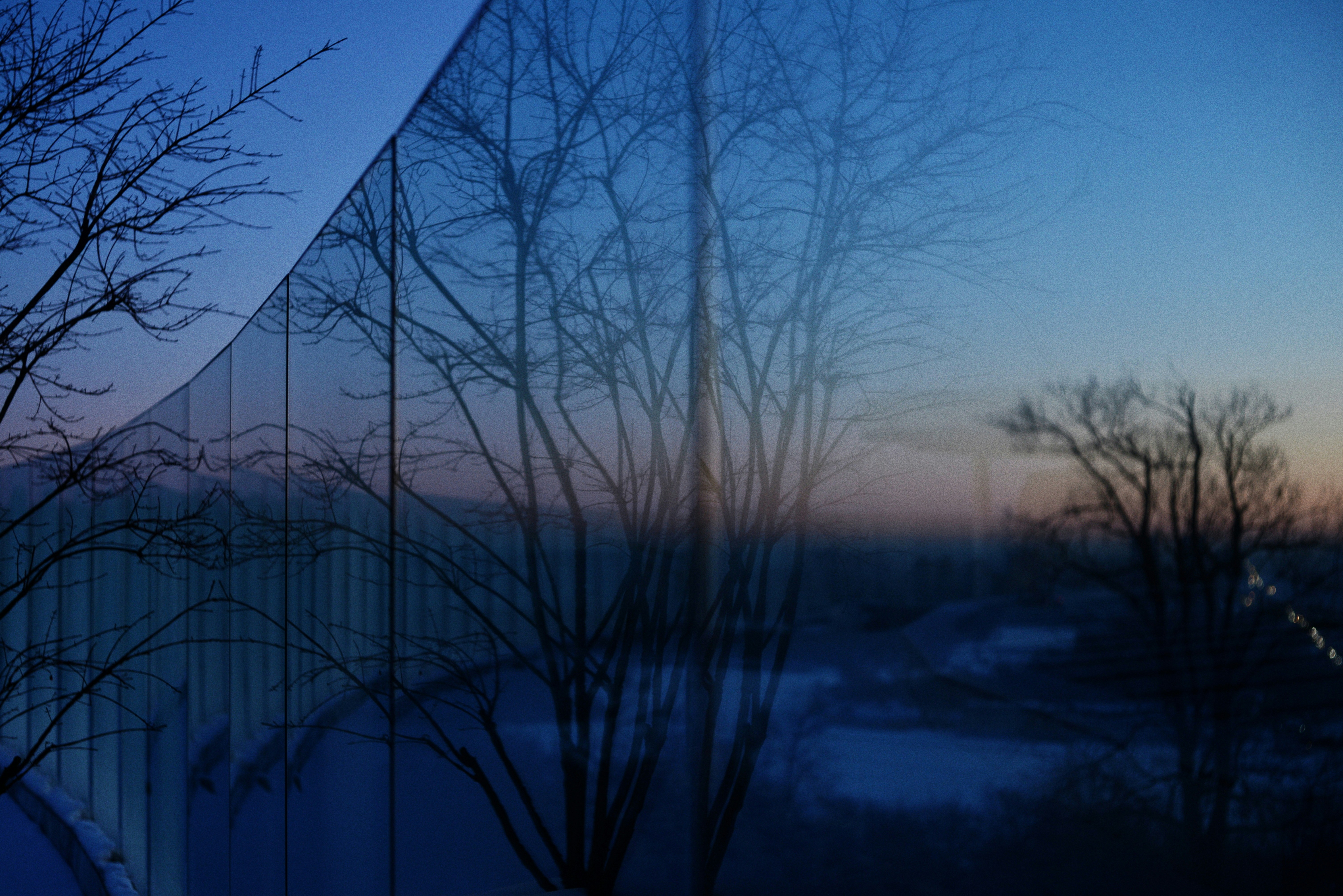 Edge of Cold Light: Reflections along a Glassy Horizon