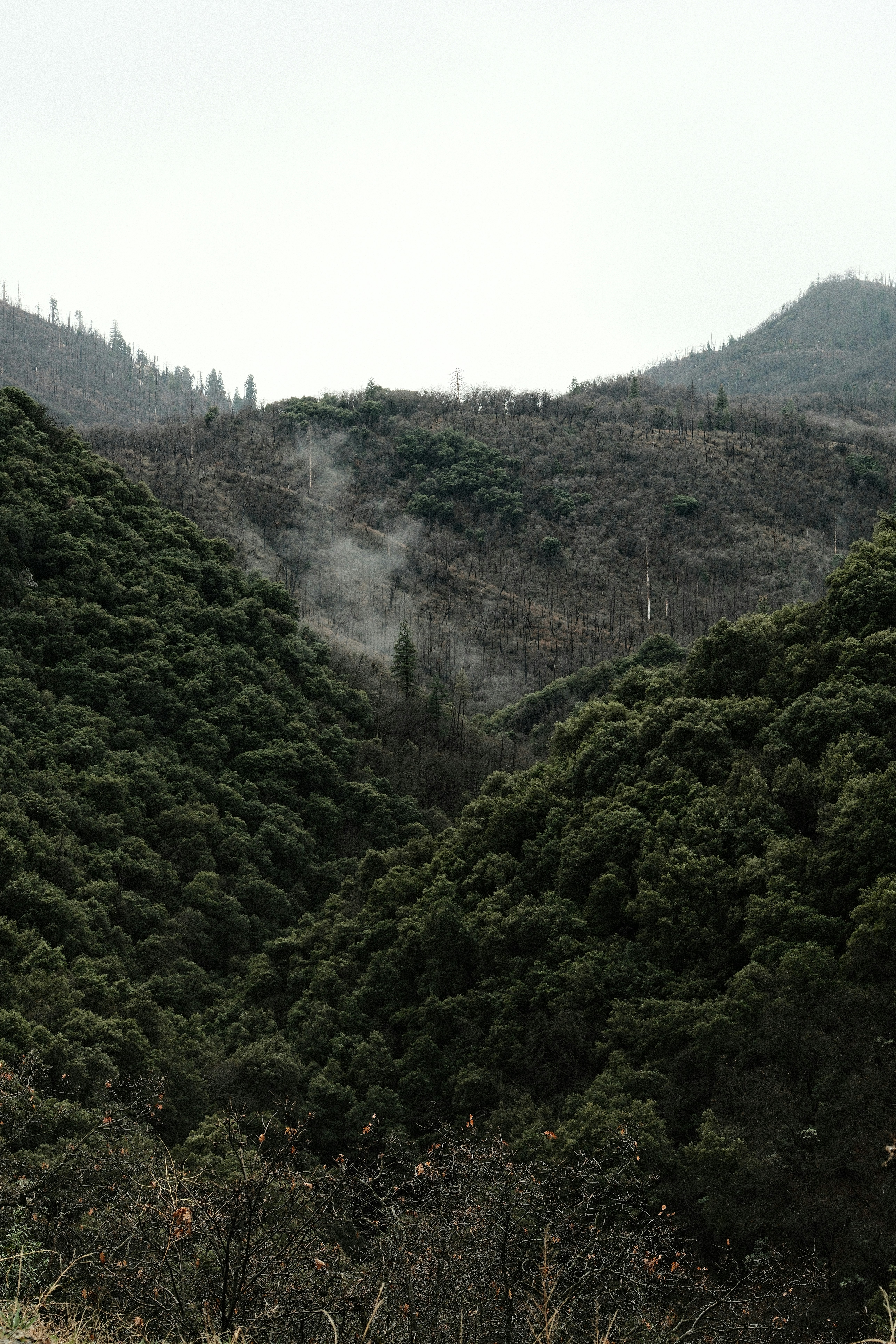 Misty Vales: A Quiet Smoke Rises Over Quiet Carved Valleys