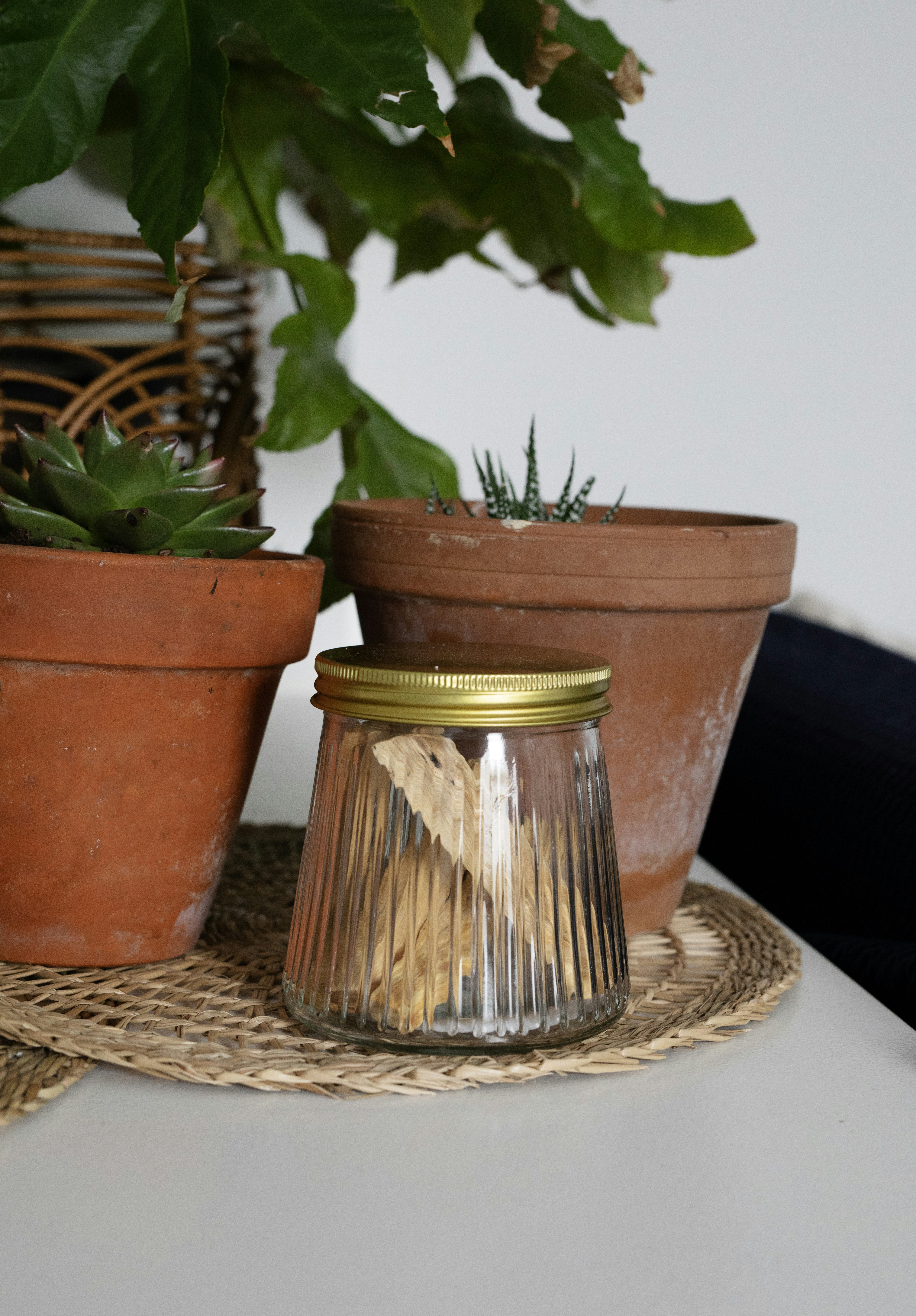 Glass jar centerpiece among potted greens on a woven placemat