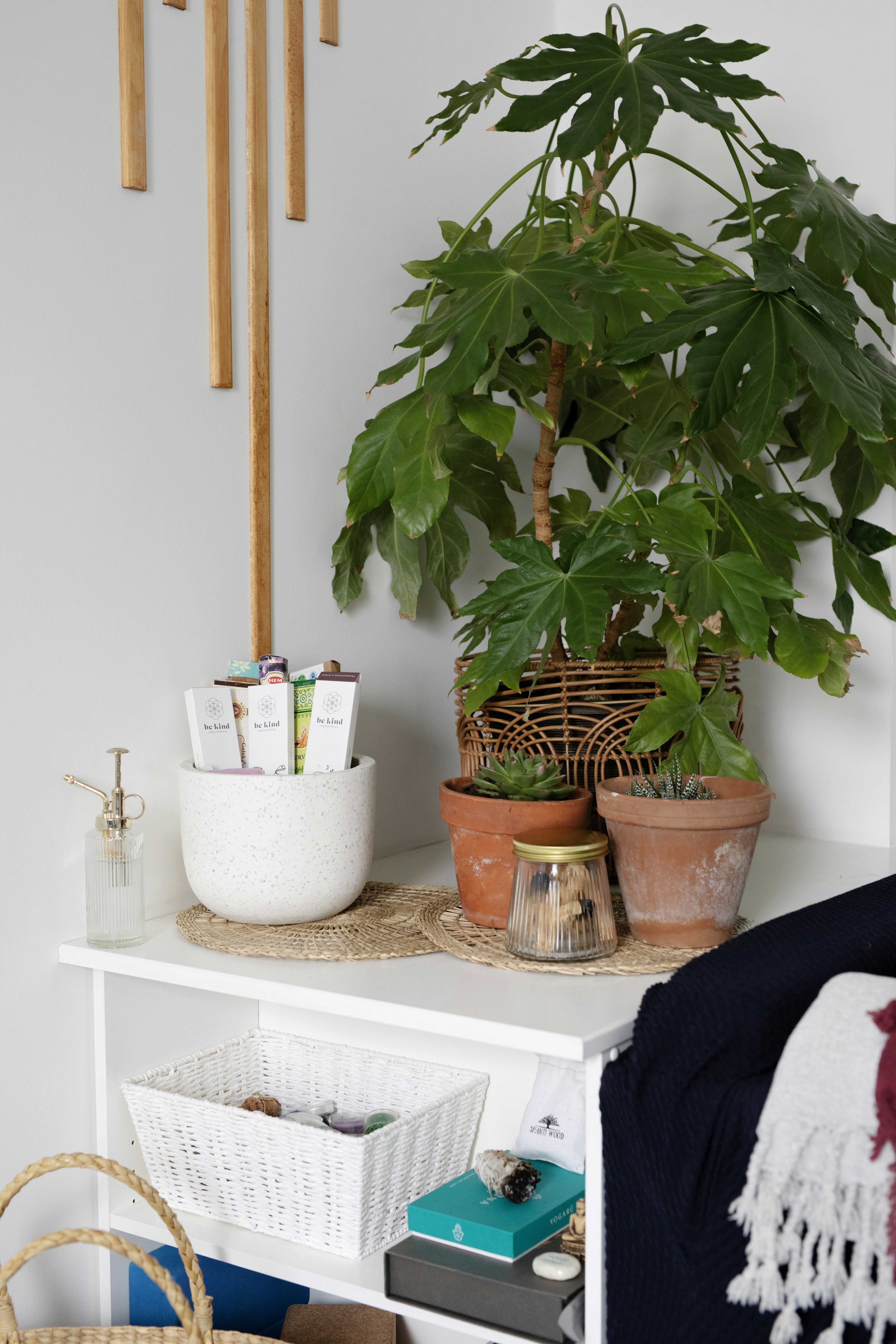 Indoor greenery and organized vanity on a white shelf