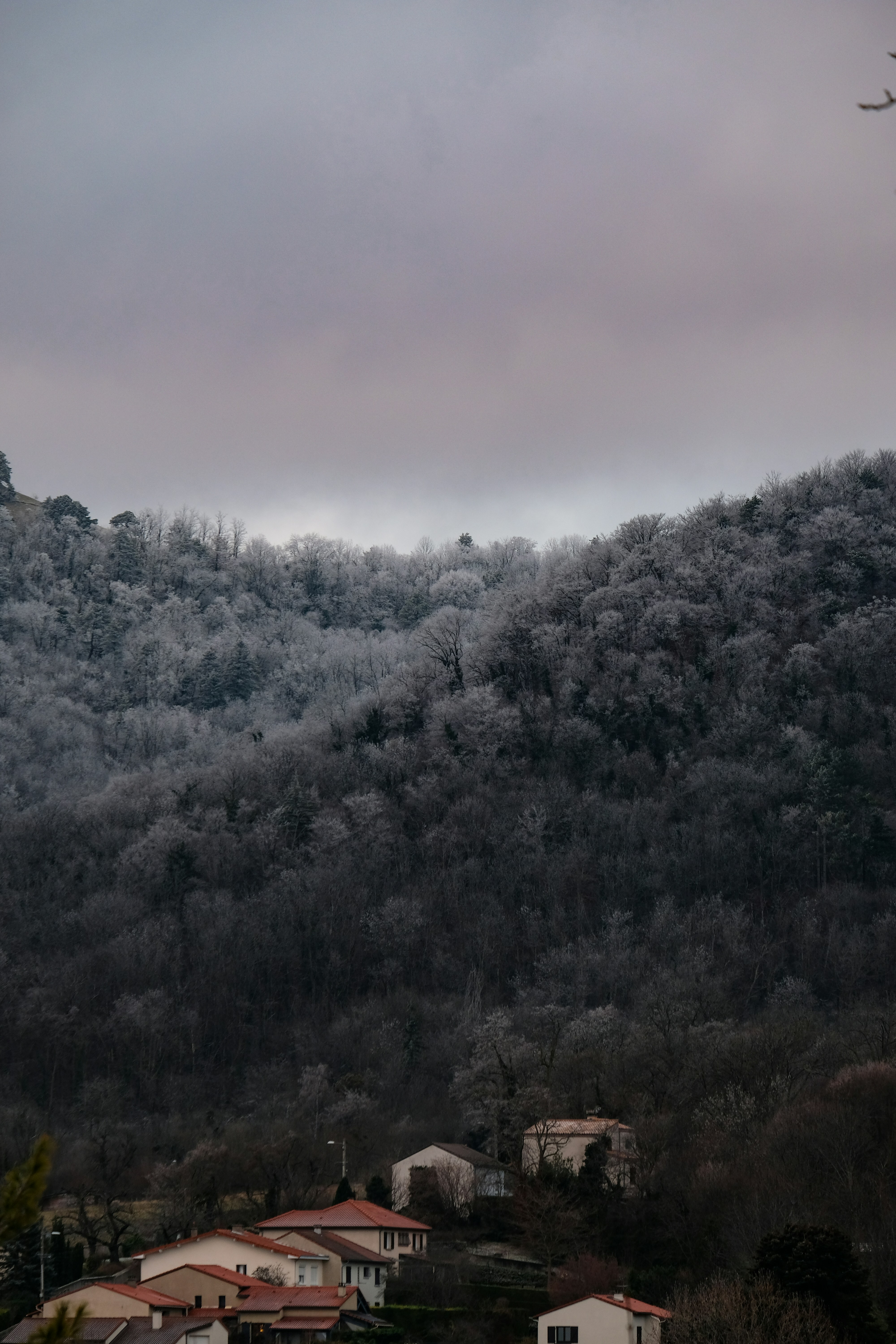 Distant Ridge of Winter Quiet Over a Red-Tiled Village