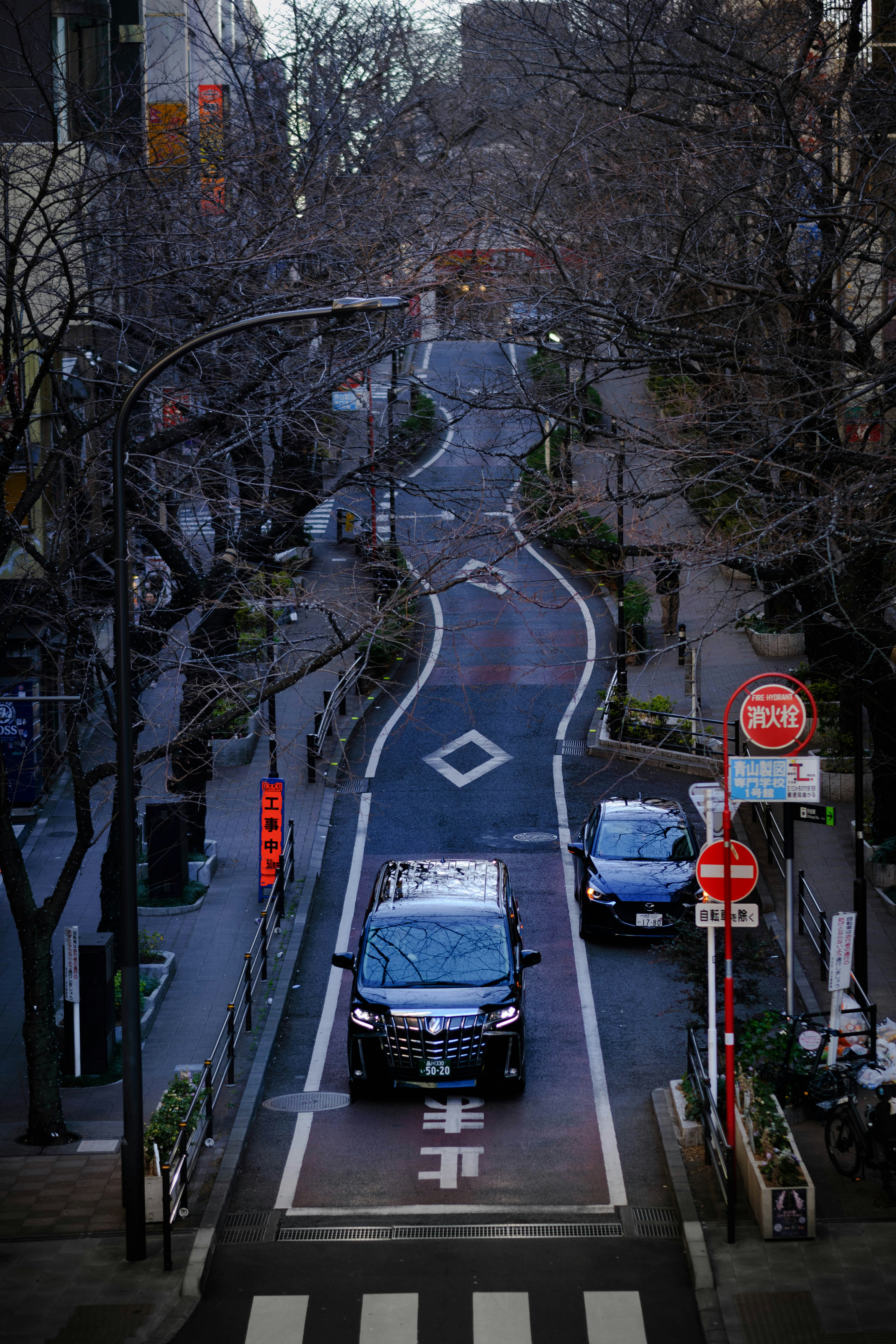Urban Ascent: A Quiet Window into a Narrow City Hill