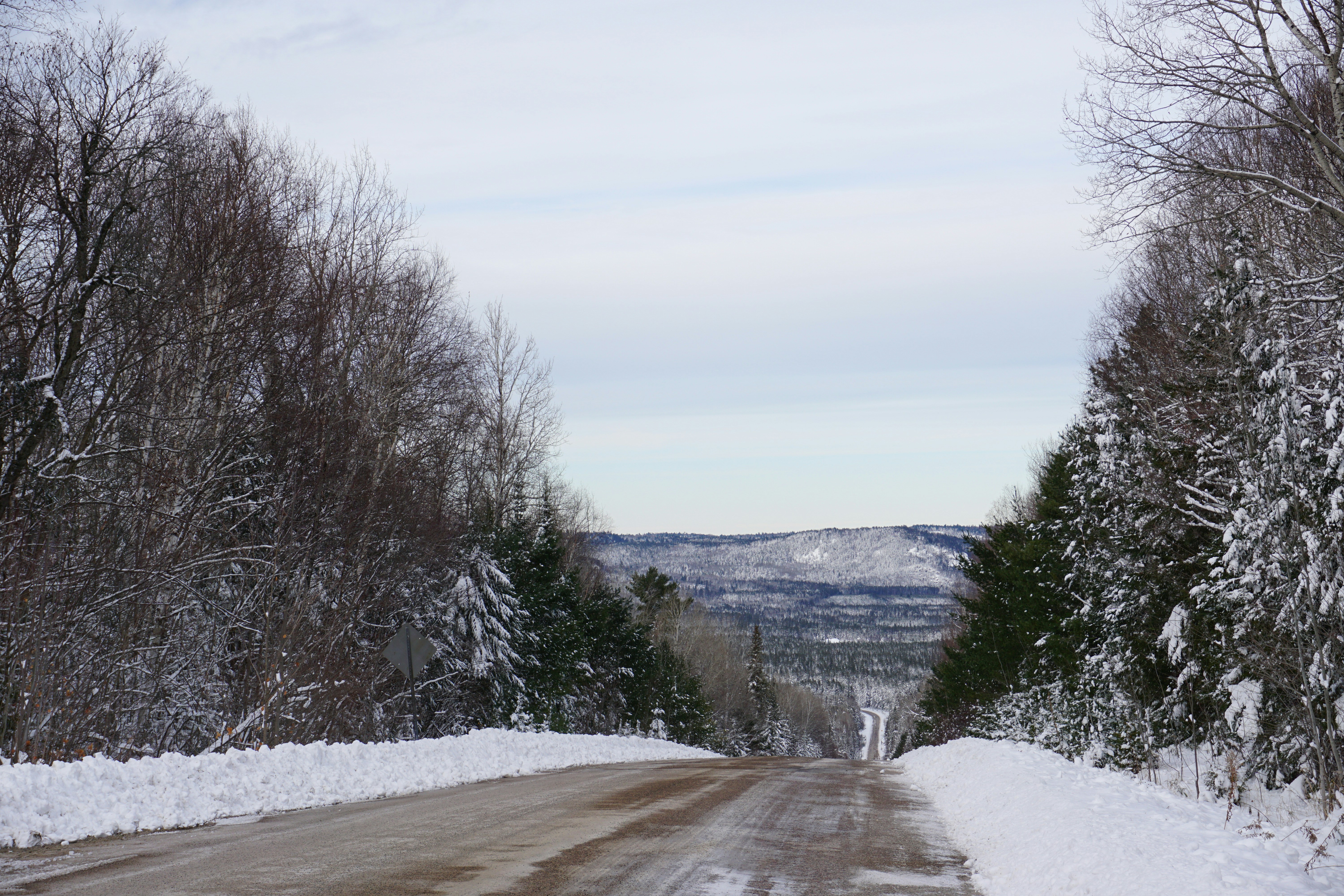 Snowbound Road to the Distant Ridge