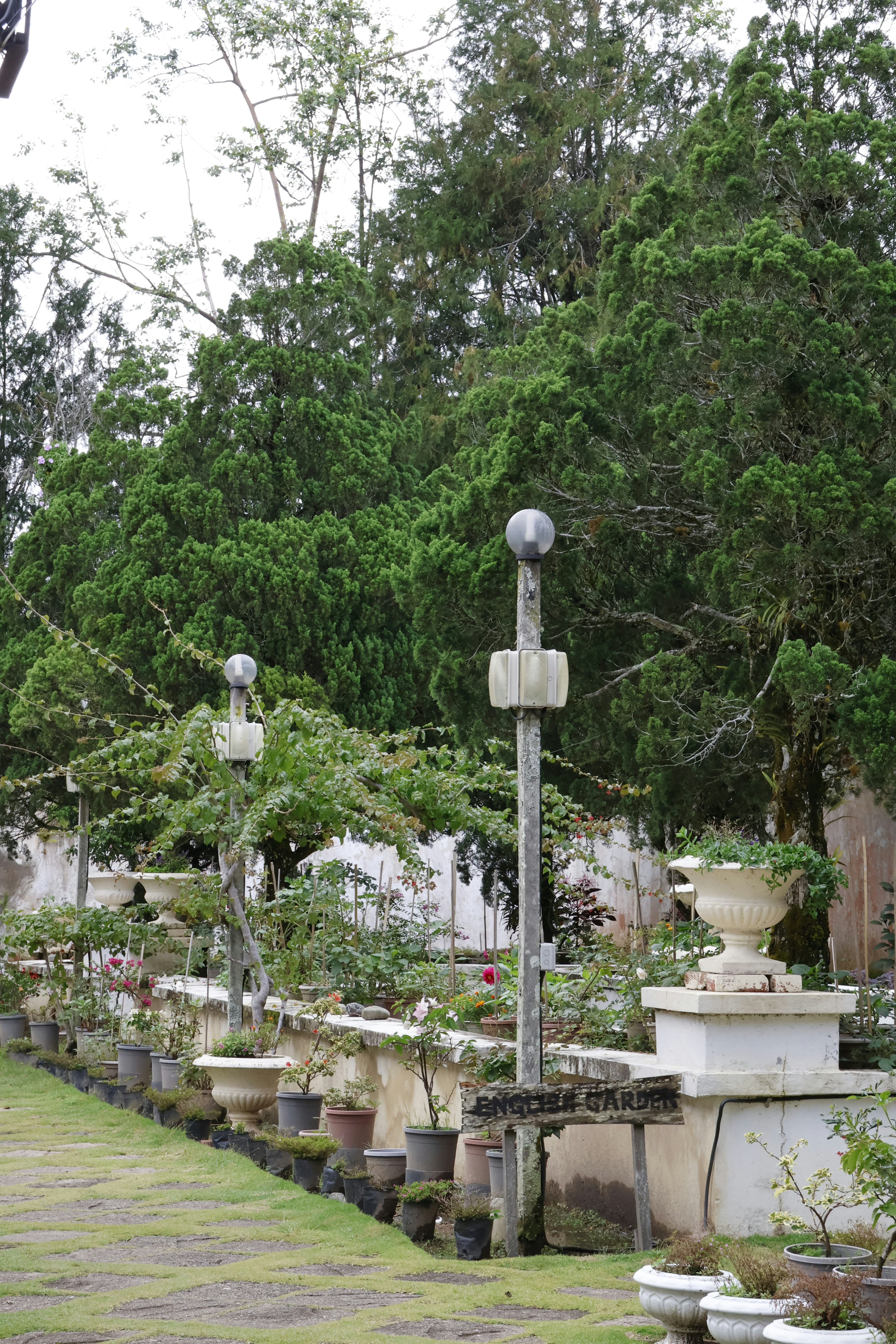 Garden Lanterns on a Quiet Pathway