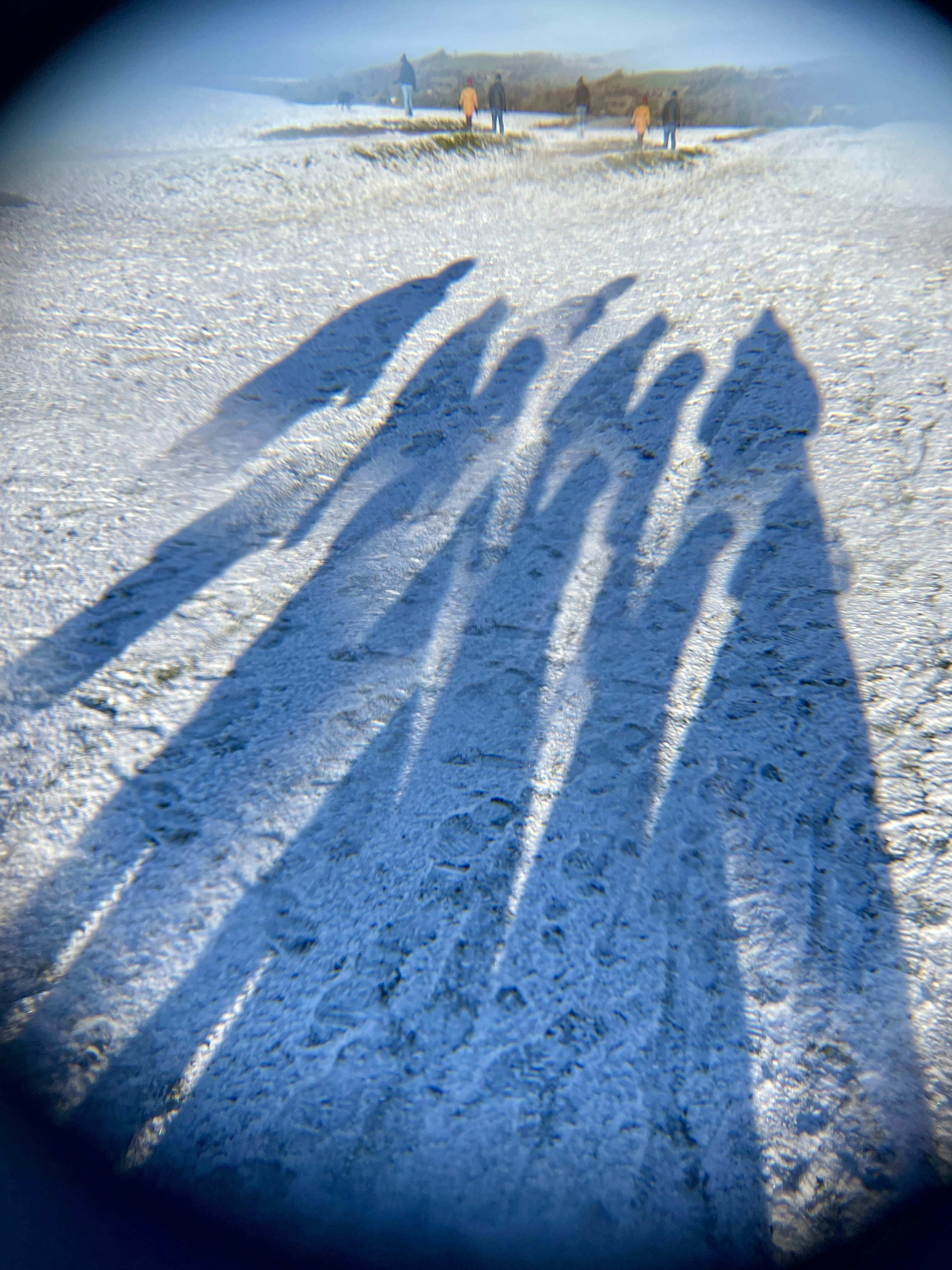 Long Shadow Parade on Ice: A Sunlit Shore Silhouette