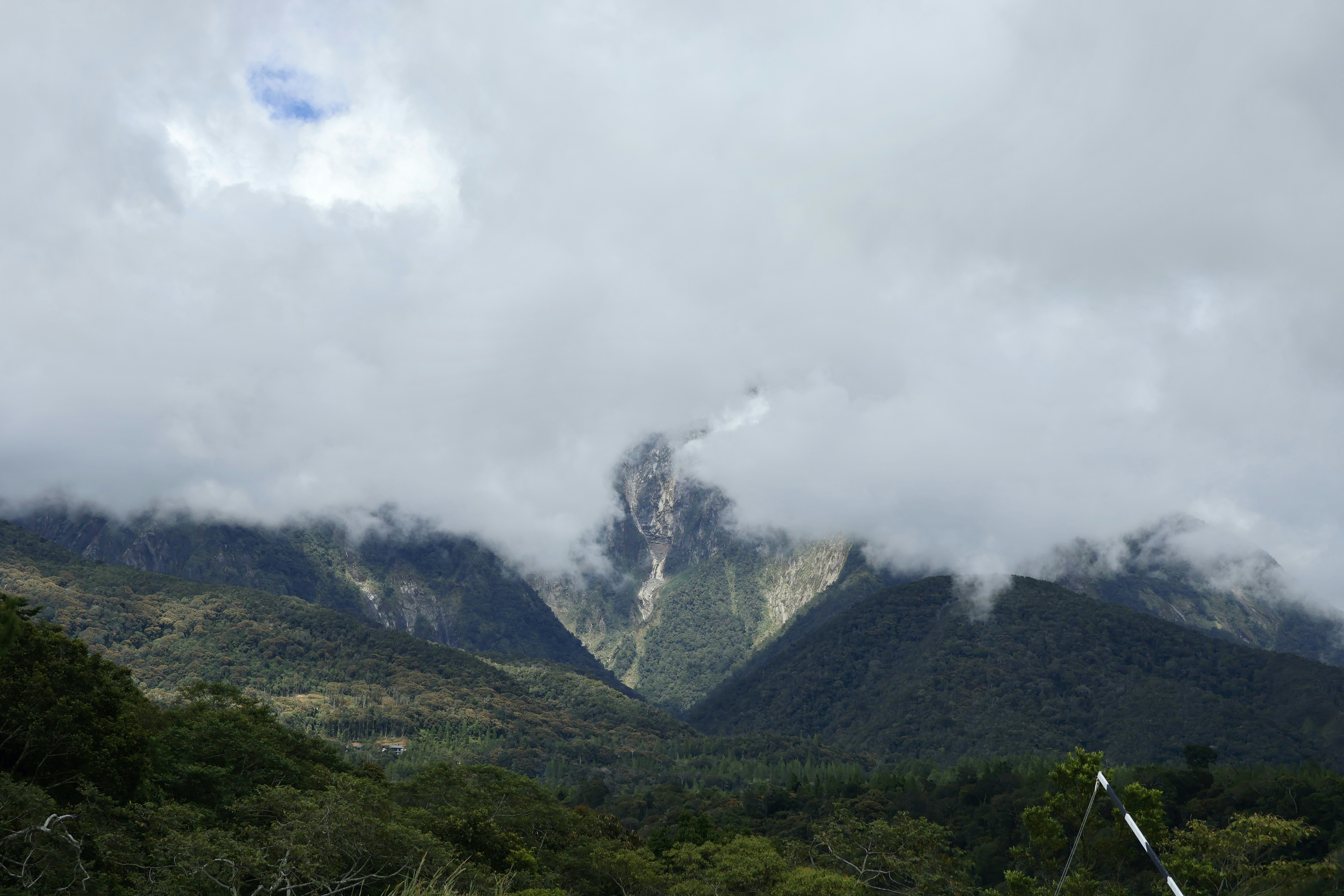 Fog-veiled Summit: A Quiet Mountain Vein Through the Clouds