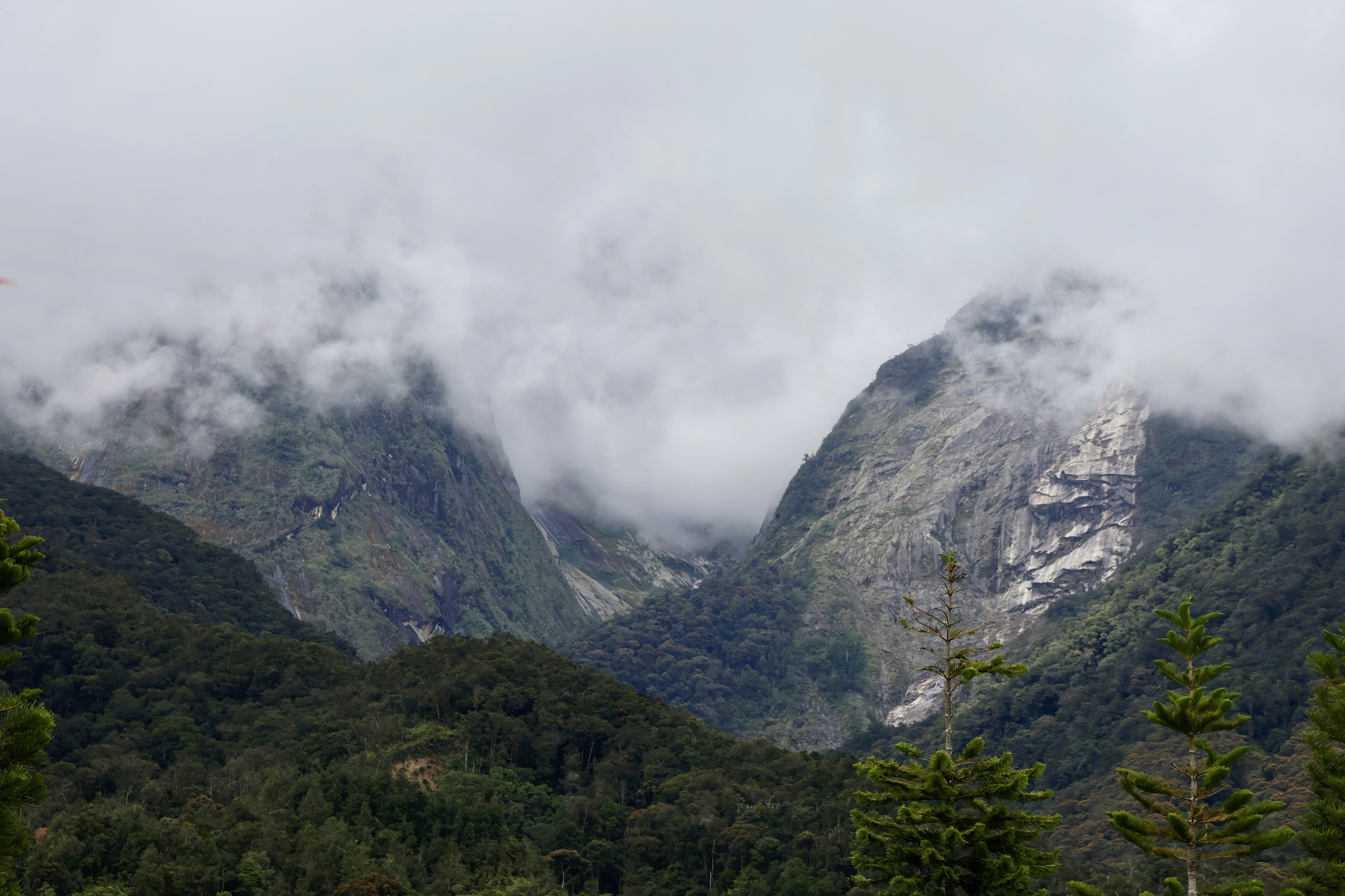 Misty Range: Morning Valleys Hidden by Cresting Clouds