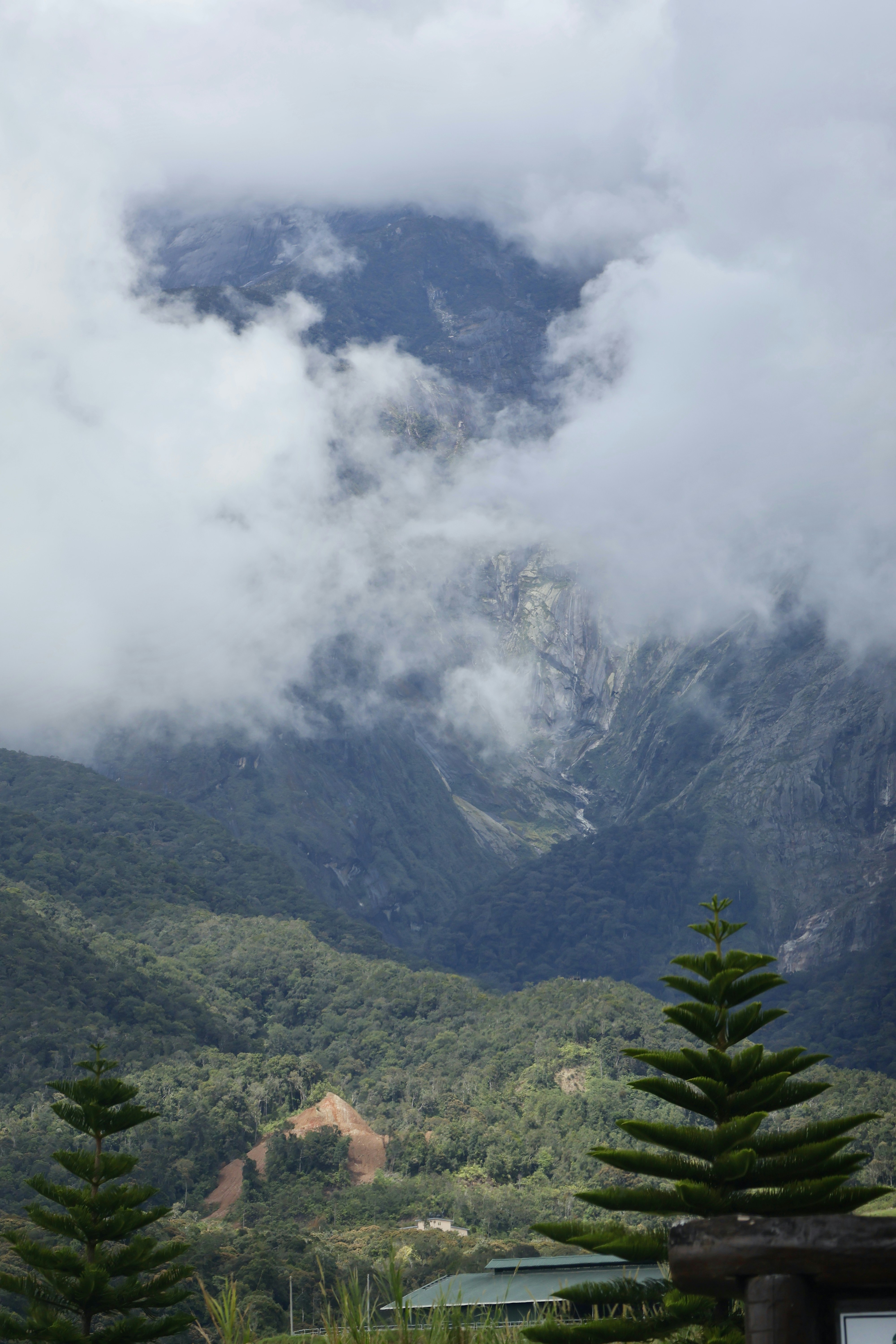 Cloud-veiled Valley: Pines and Distanced Roofline beneath Mountain Peaks
