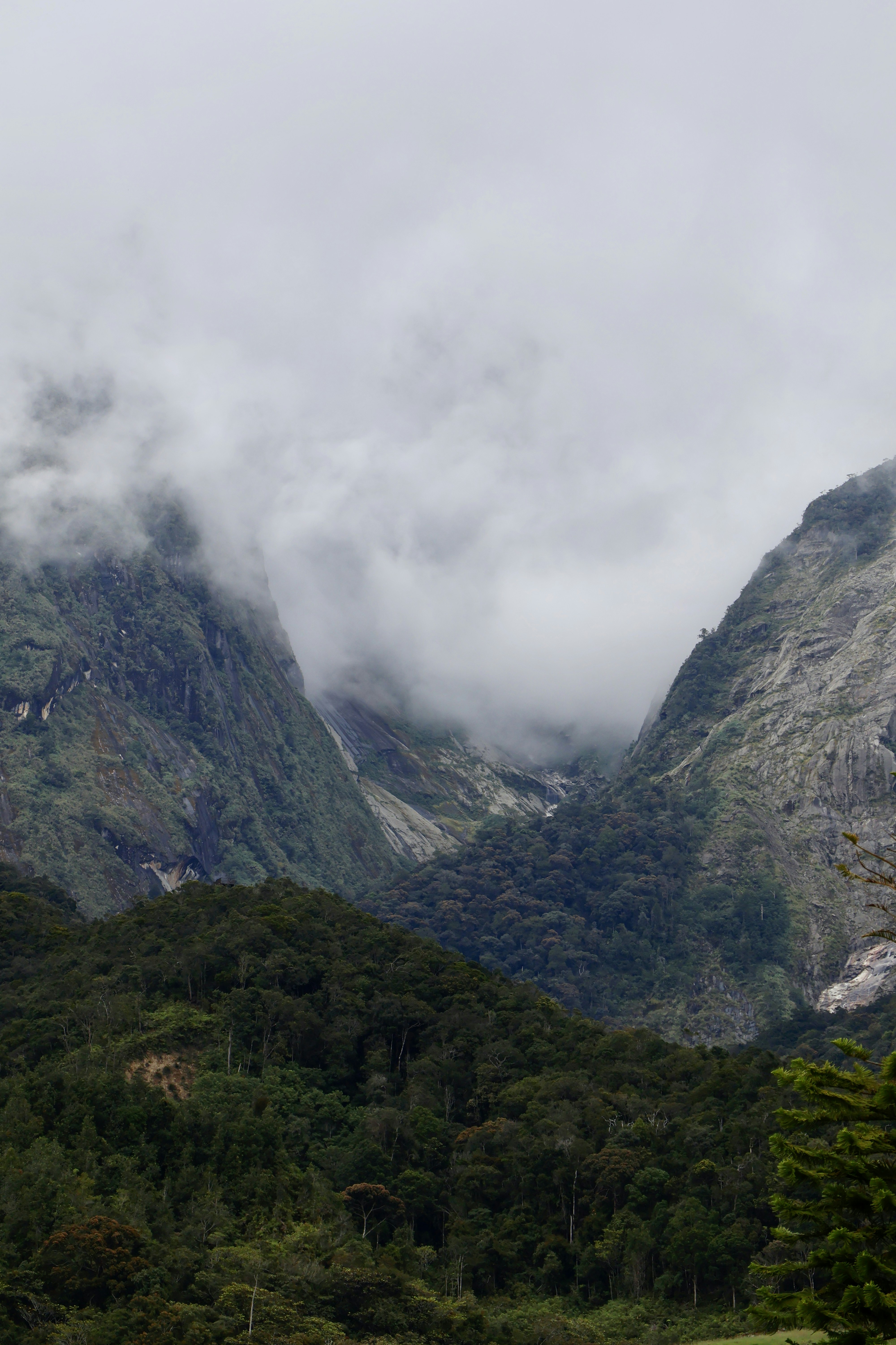 Misty Valley Between Cloud-locked Peaks