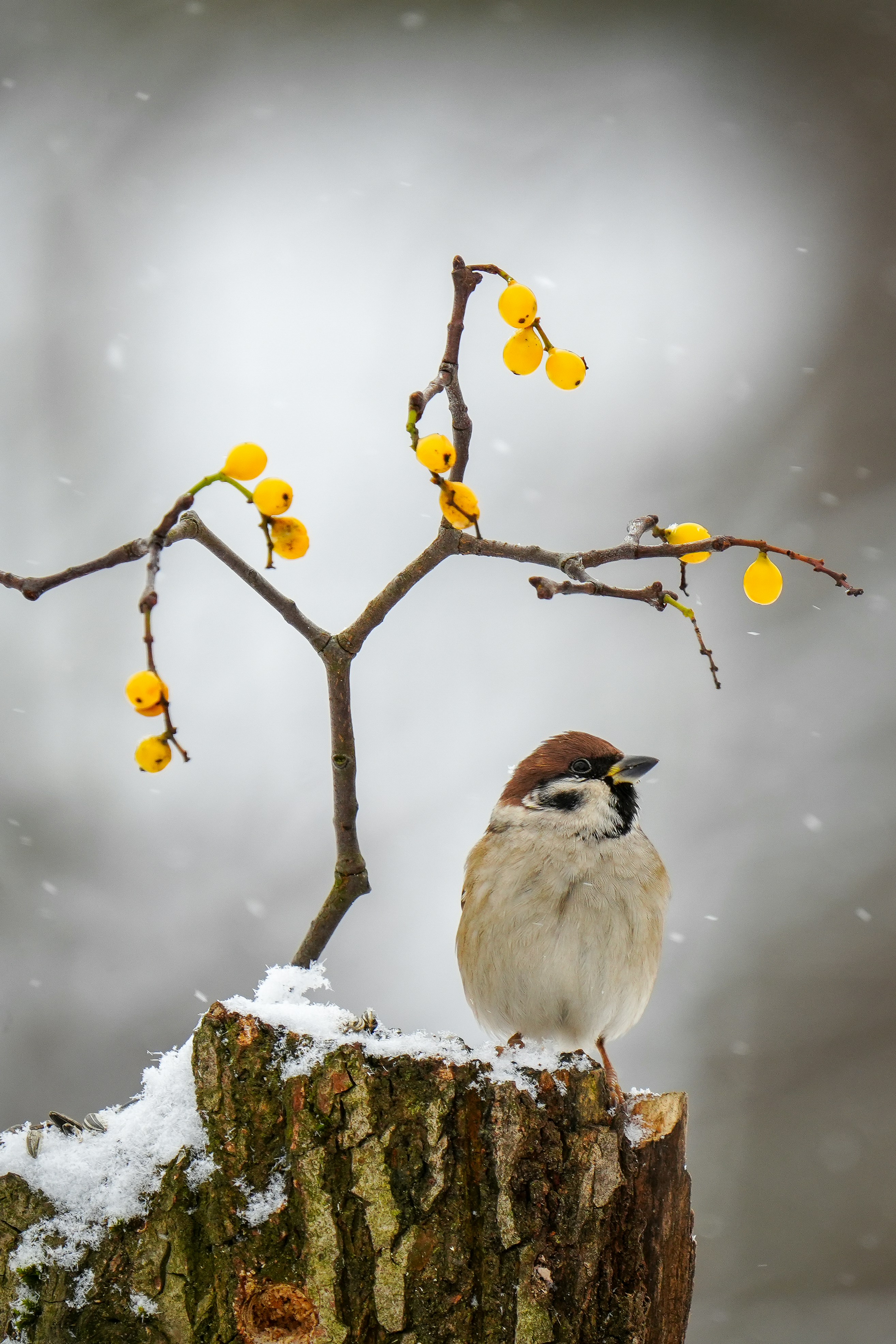 Photo by Nikola  Tomašić with Sony Alpha 7 IV