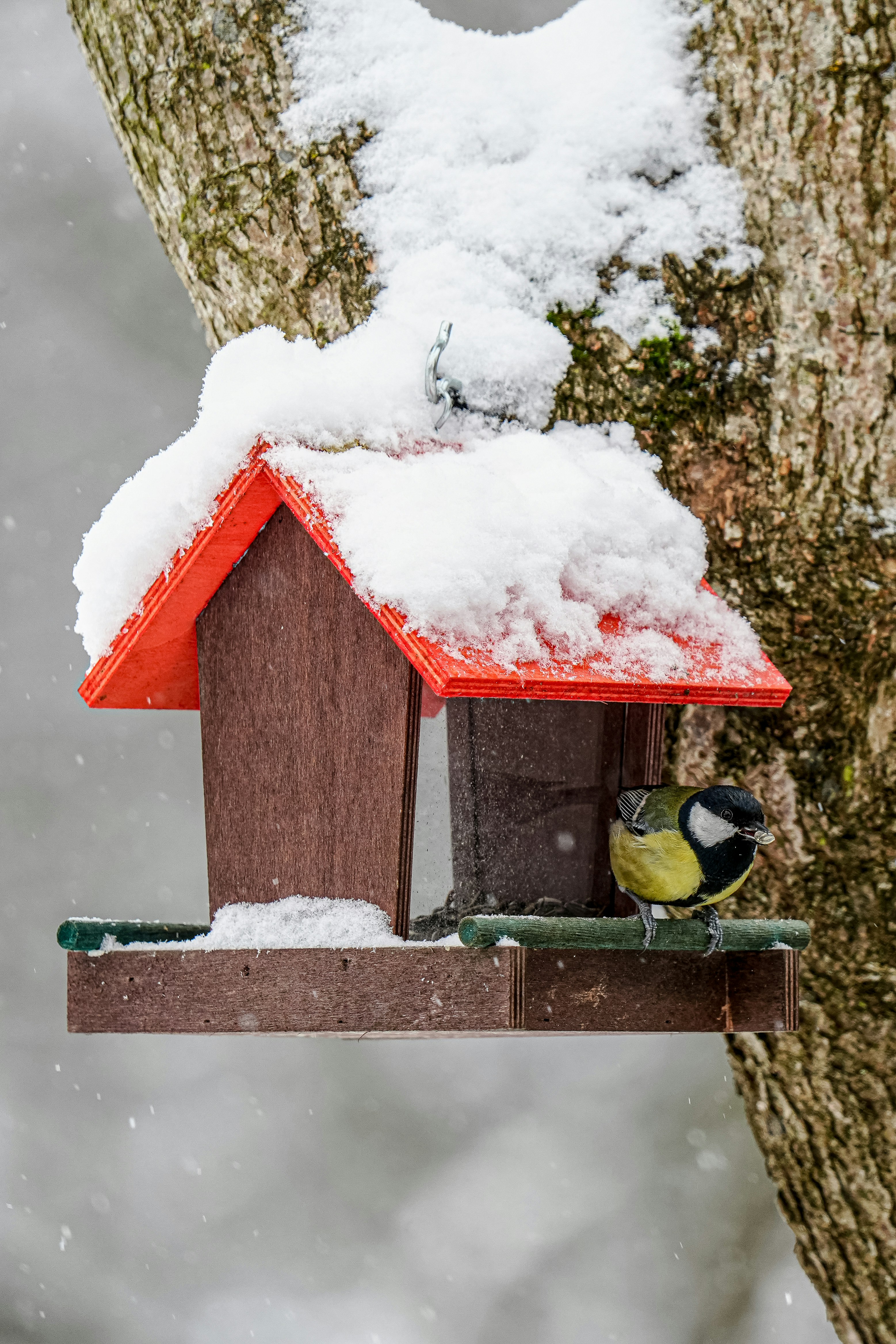 Snow-Capped Birdhouse With Chickadee Perch
