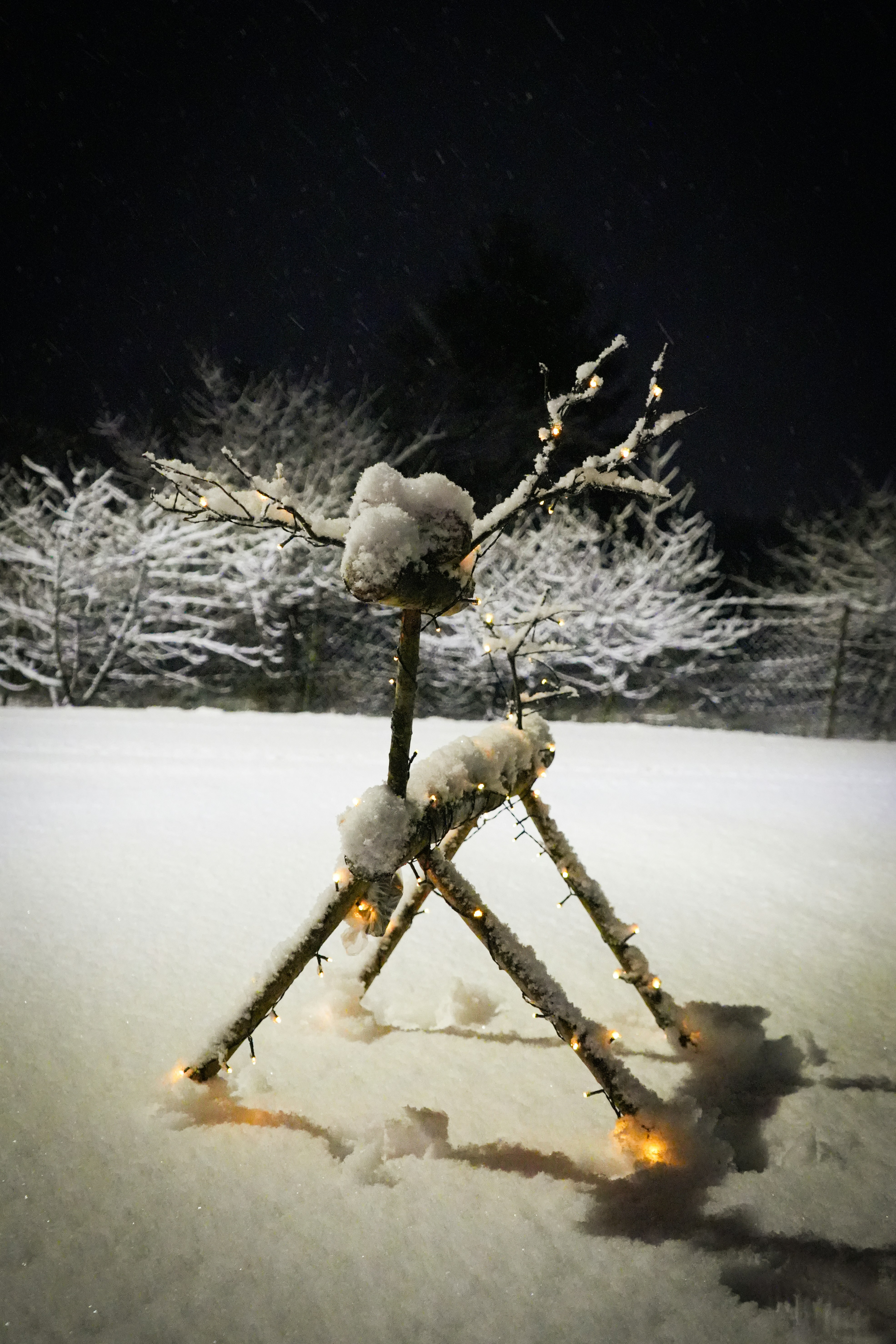 Snowbound Arc: a small, illuminated tripod of branches under a starlit sky