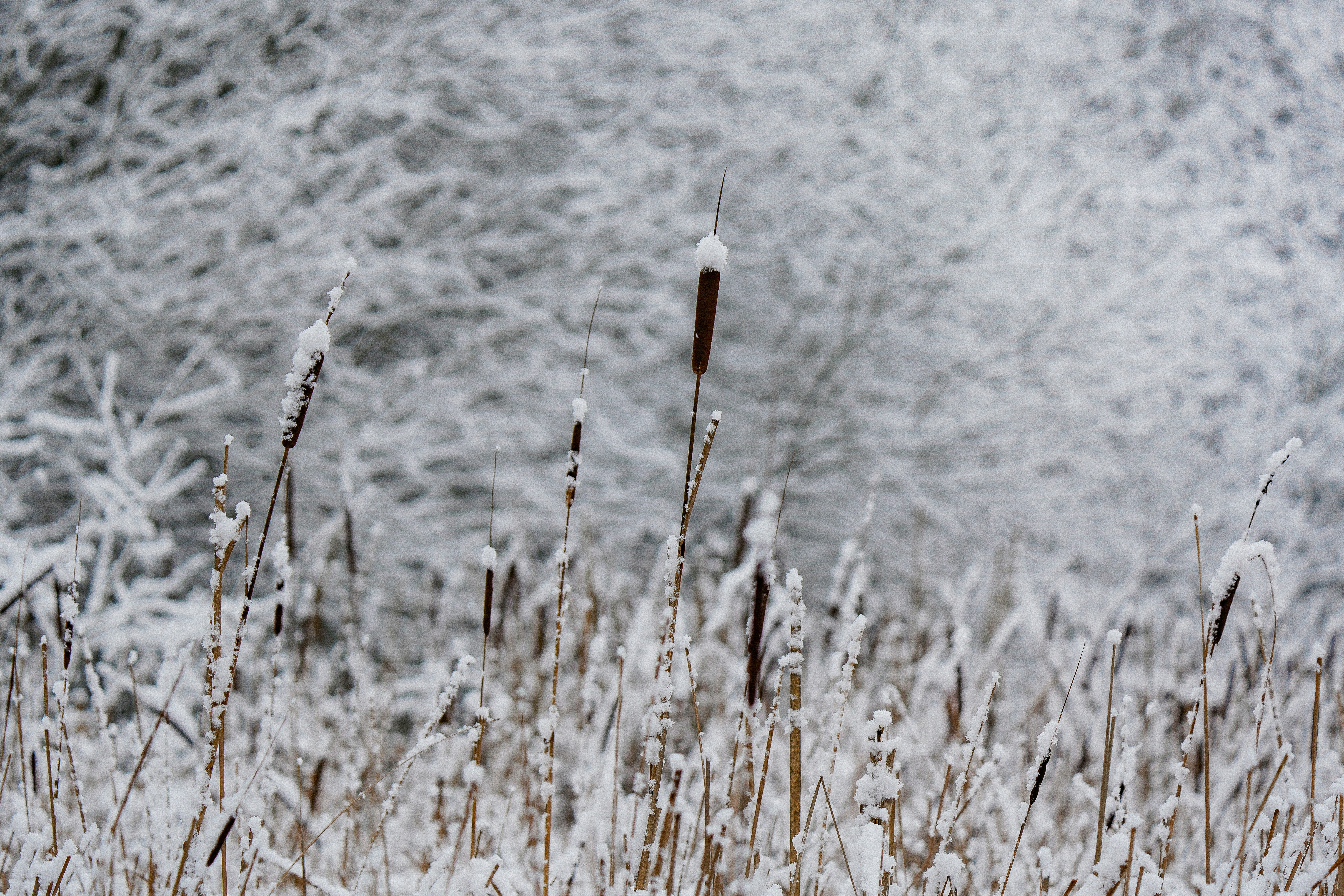 Photo by Nikola  Tomašić with Sony Alpha 7 IV