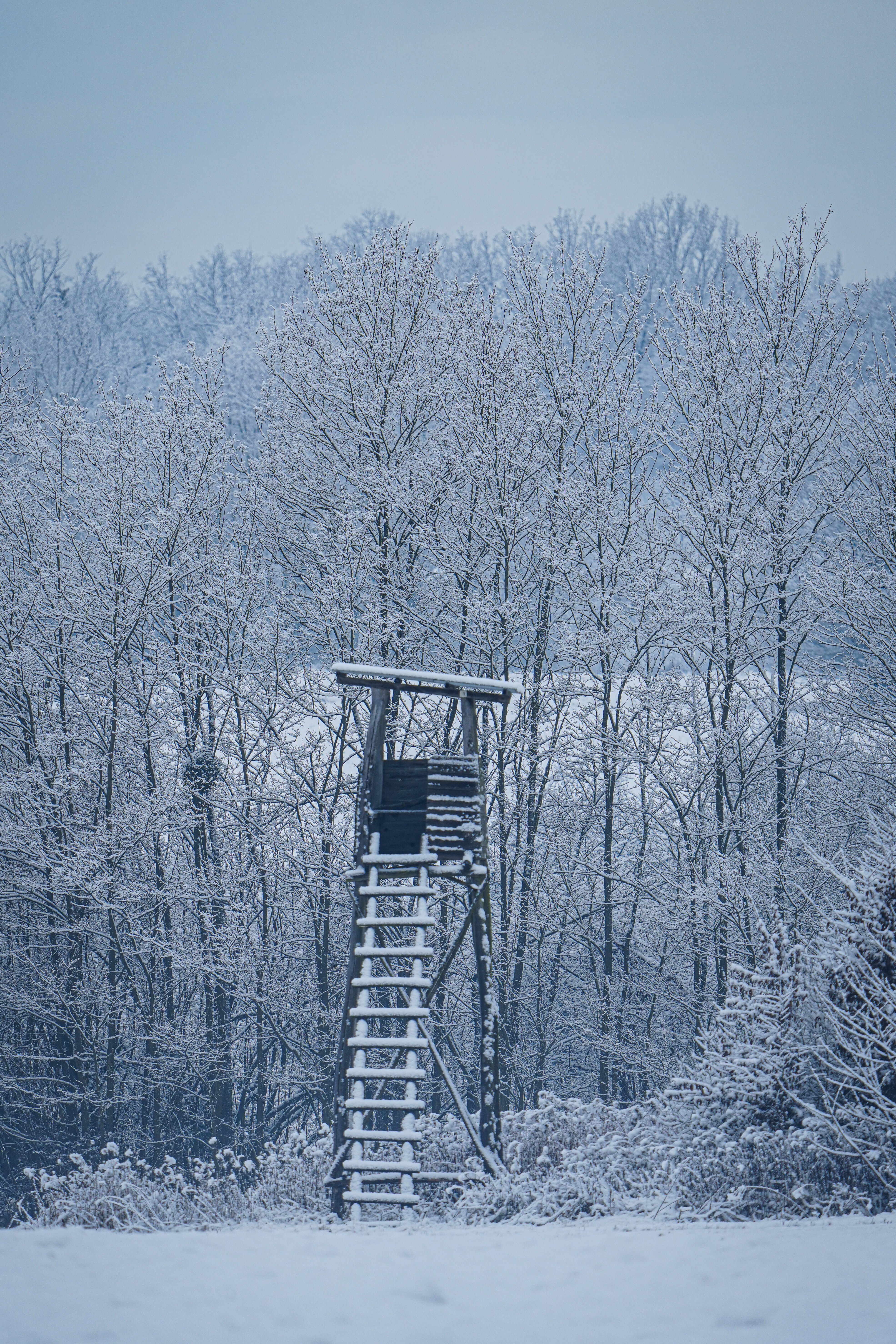 Snowbound Platform: A Lone Ski Lift Reaches into Winter Silence