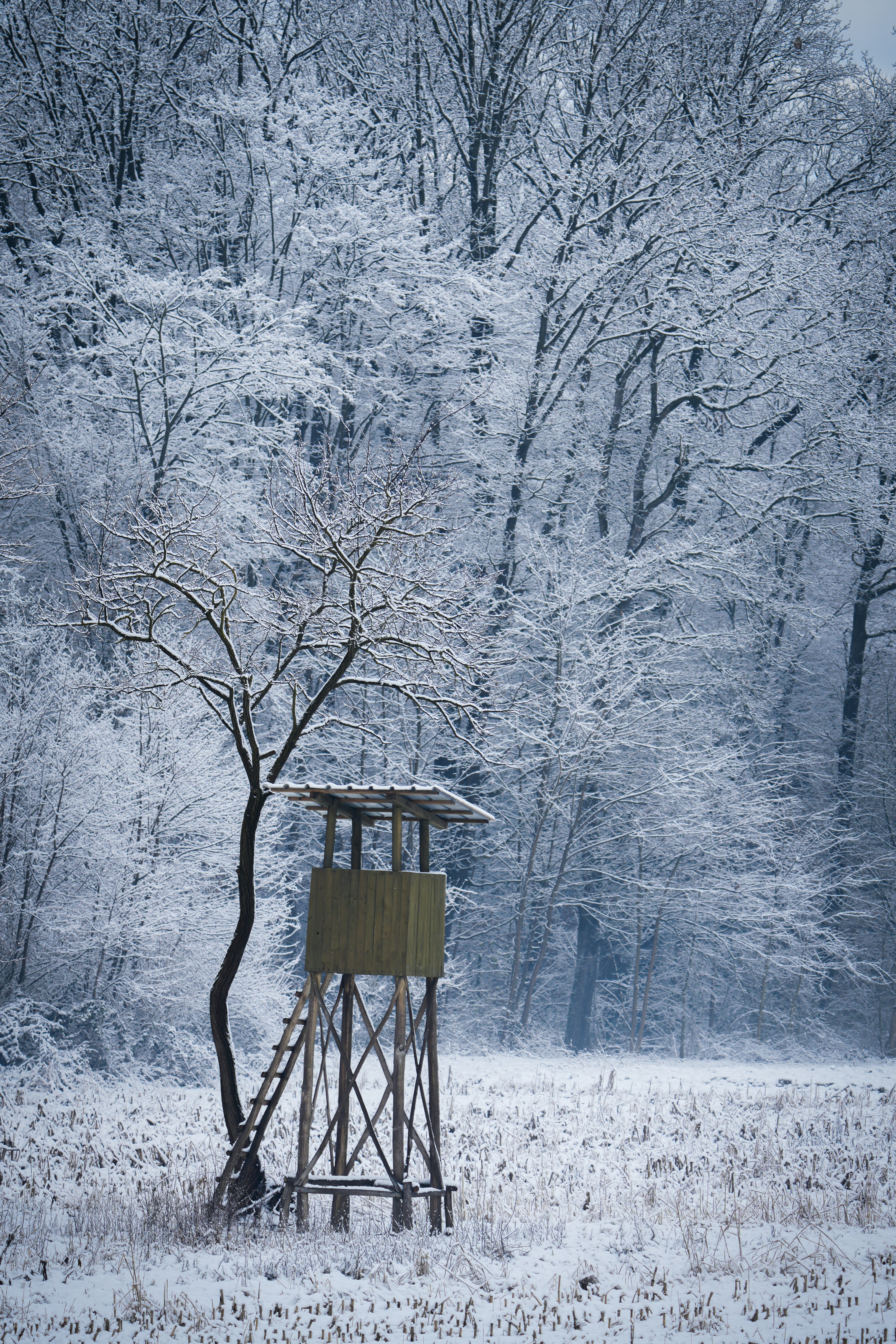 Winter Watchtower in Silent Snow