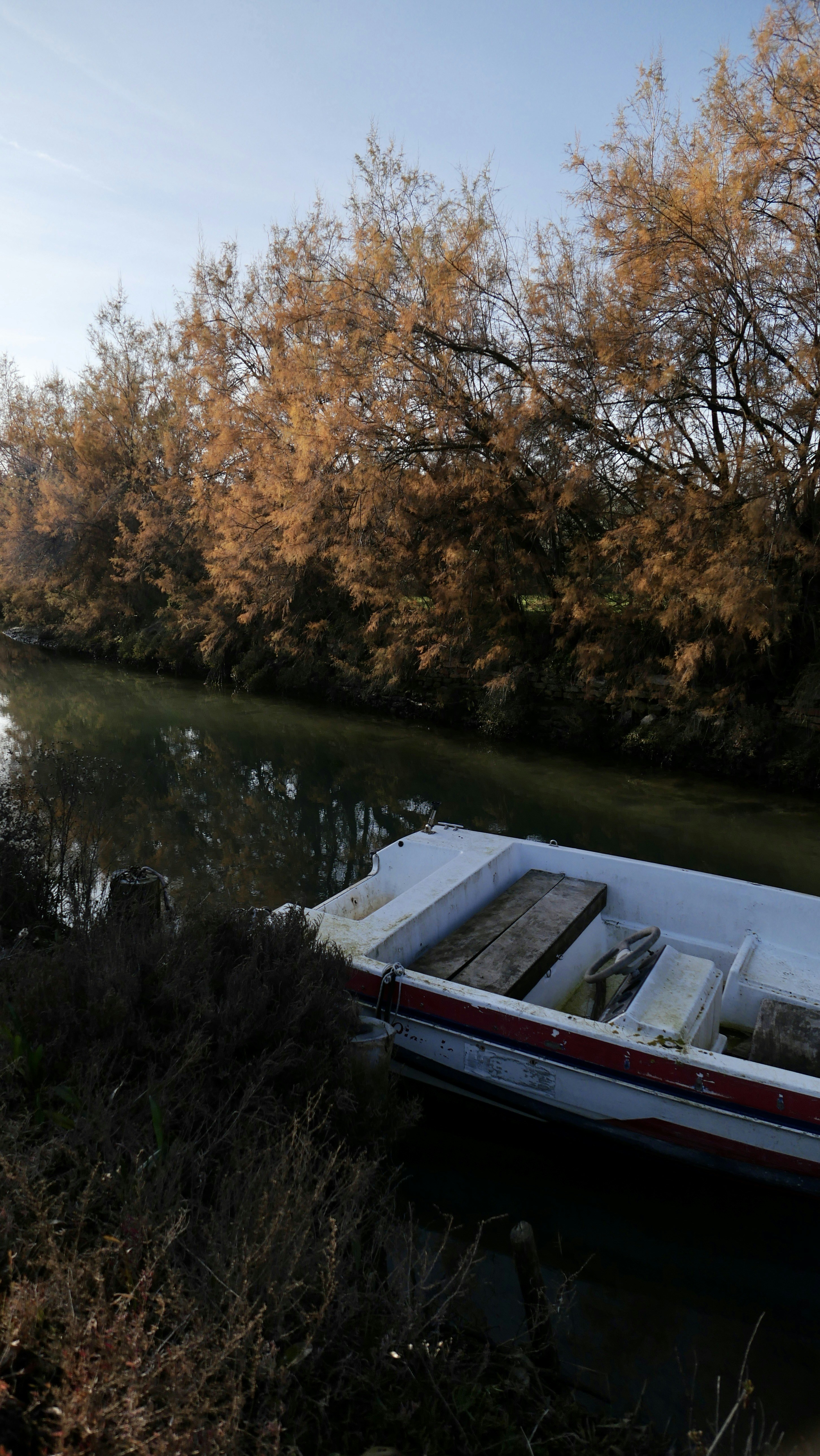 Autumn by the Quiet Canal: A Boat Resting Amid Golden Trees