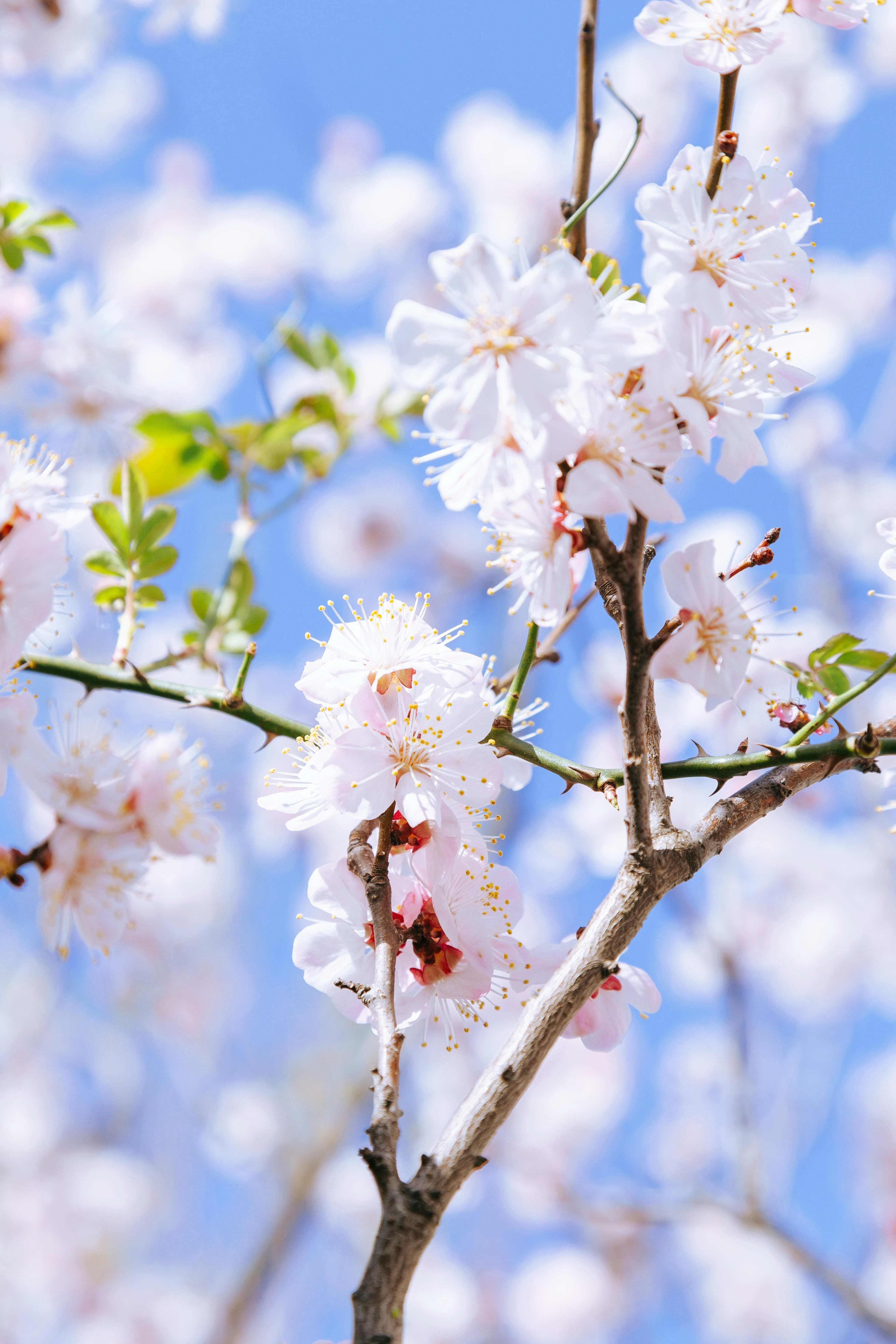 Photo by 小进 前 with Canon EOS 6D