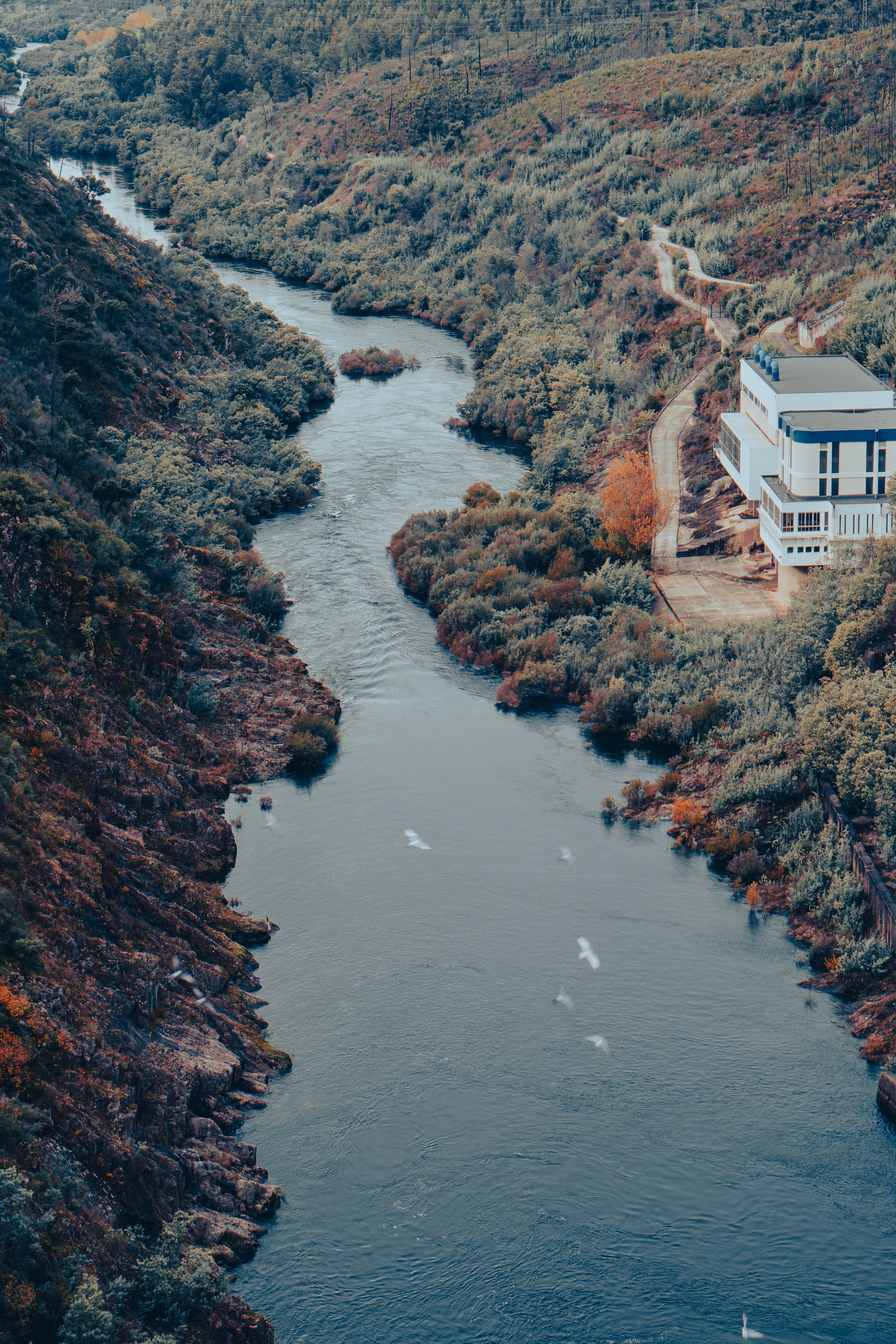 Photo by Marco Fernandes with Sony Alpha 6400