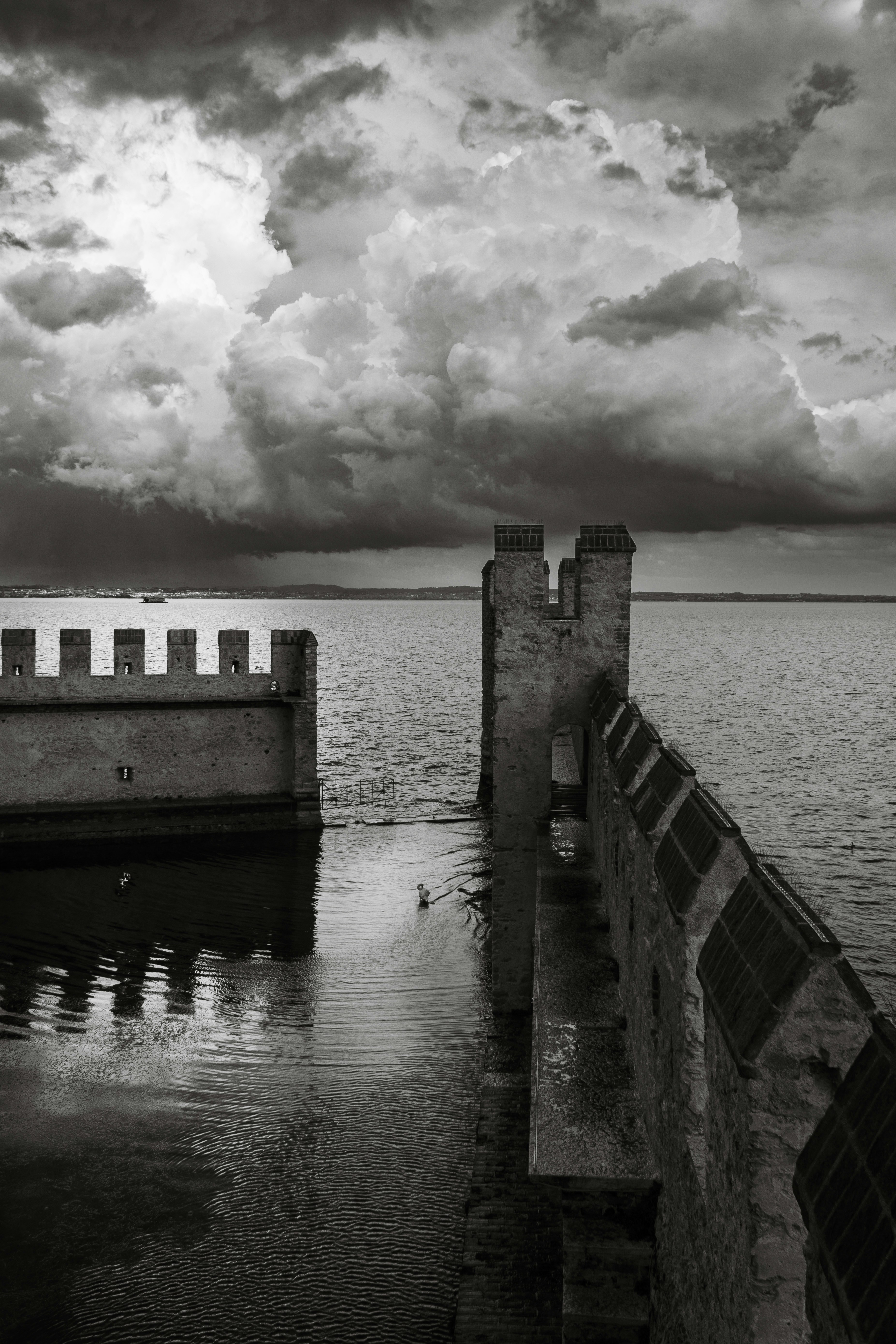 Photo by Marco Fernandes with Sony Alpha 6400