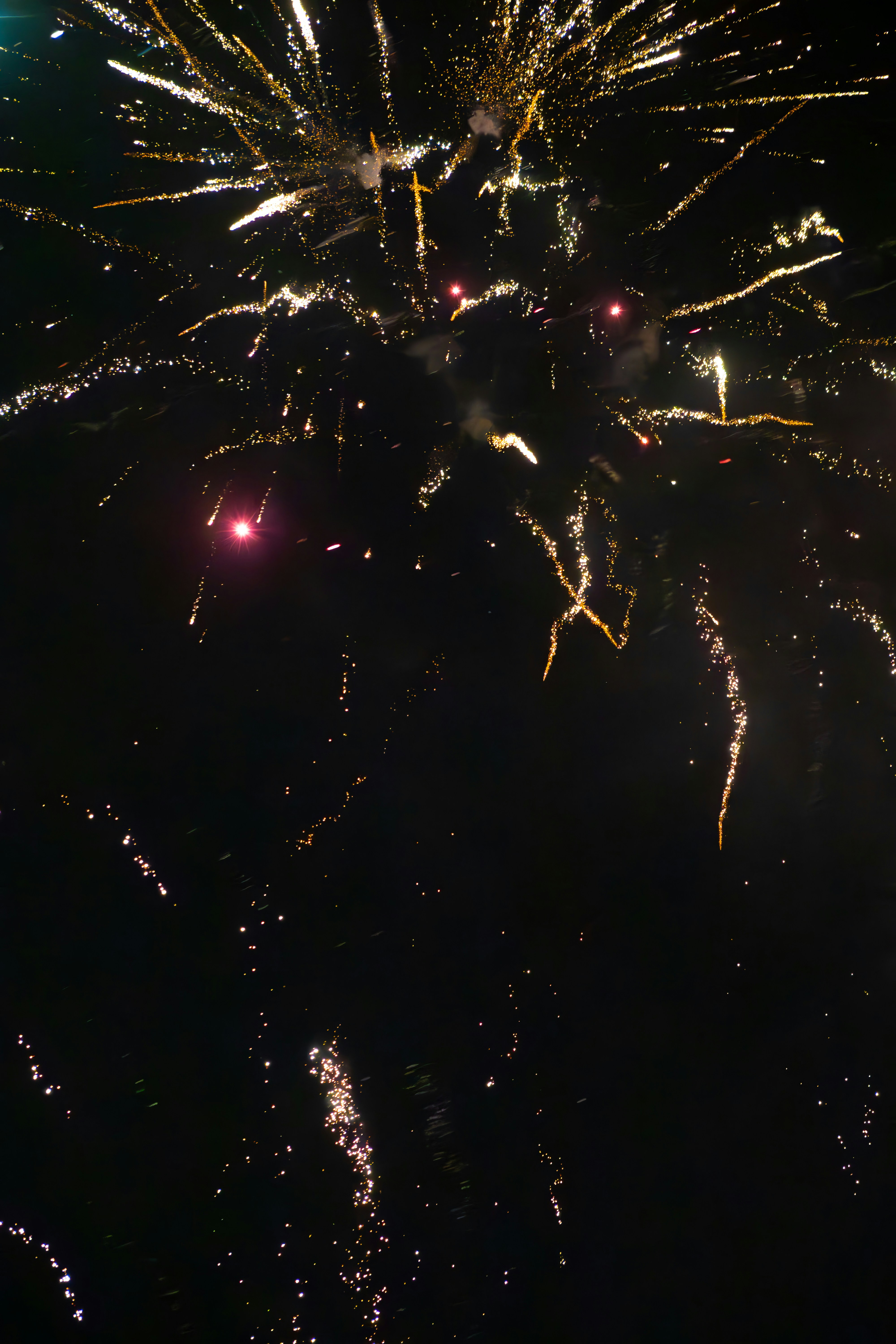 First Light: Fireworks Bloom Over Midnight Sky