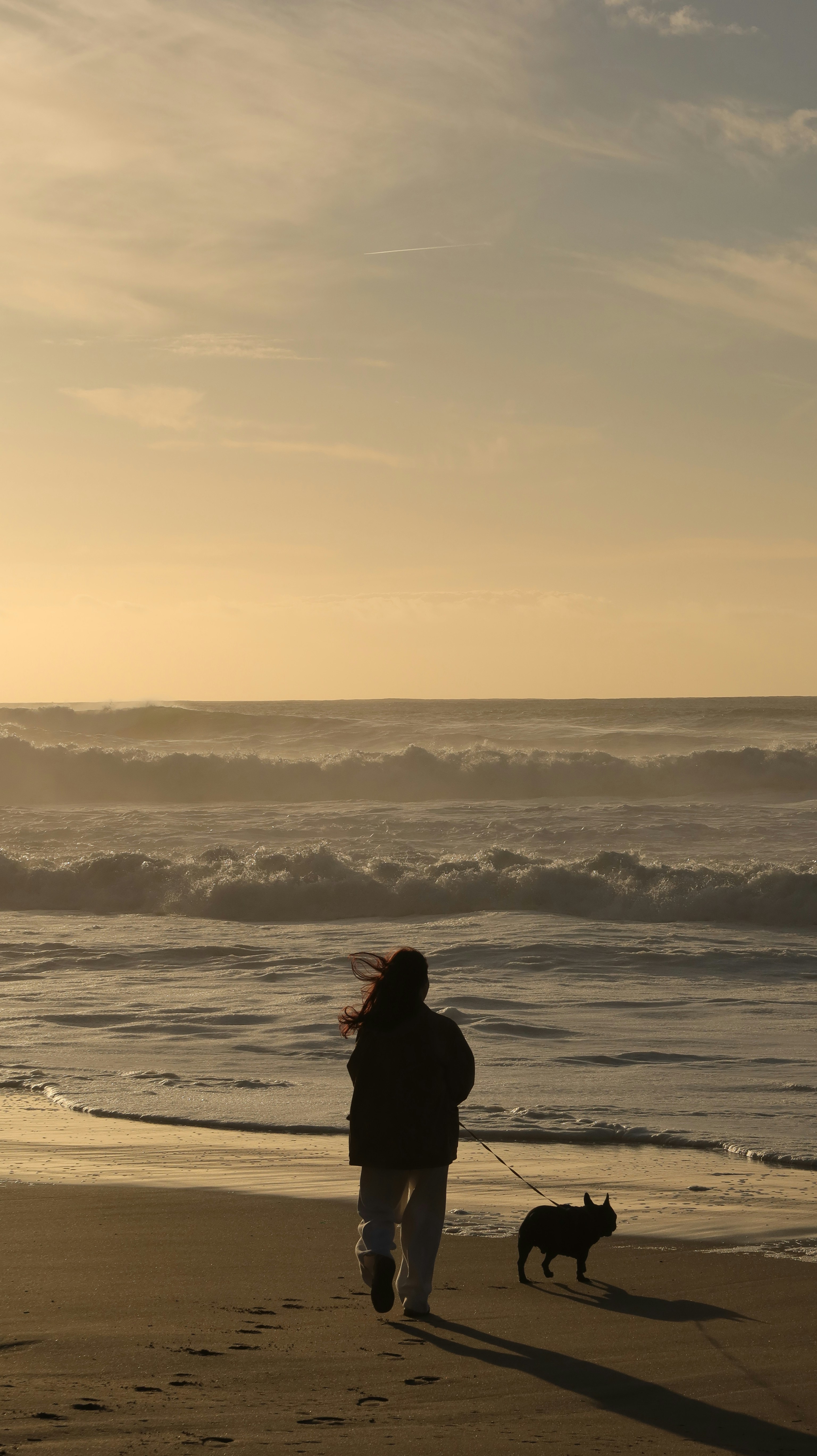 Evening Stroll by a Golden Shore