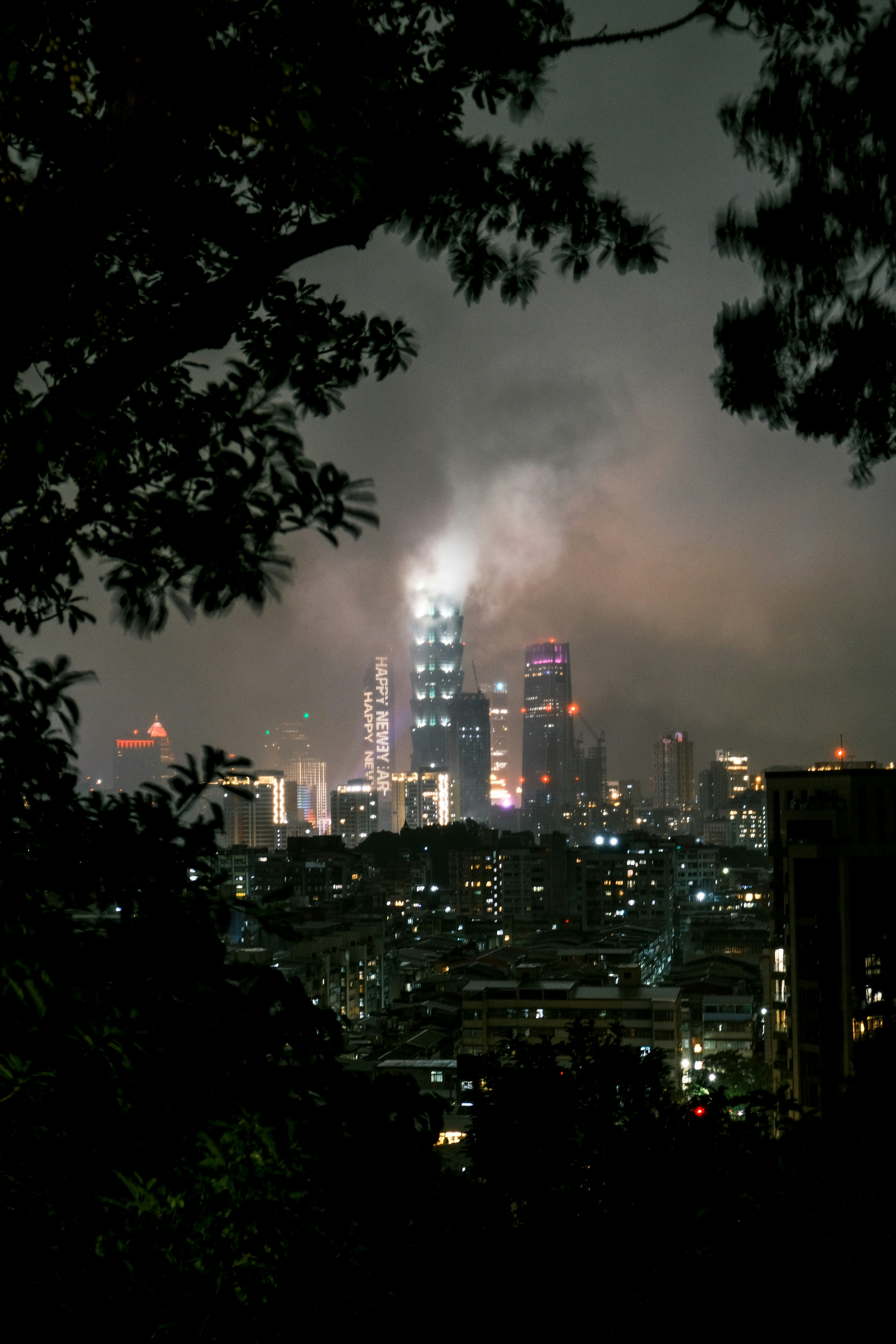 City Skyline Emerges Through Night Fog