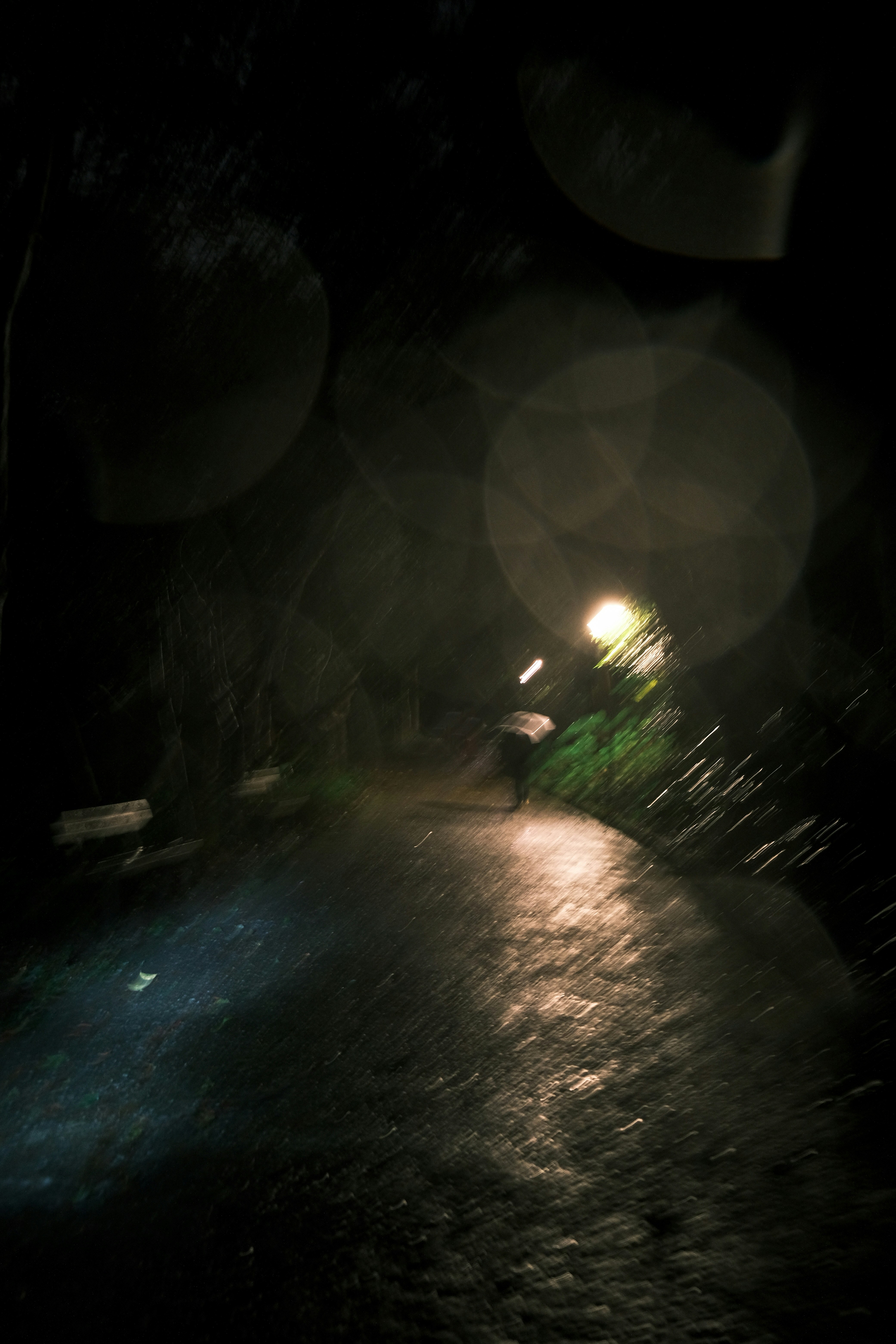 Rainy Night Walk Beneath Glowing Orbs